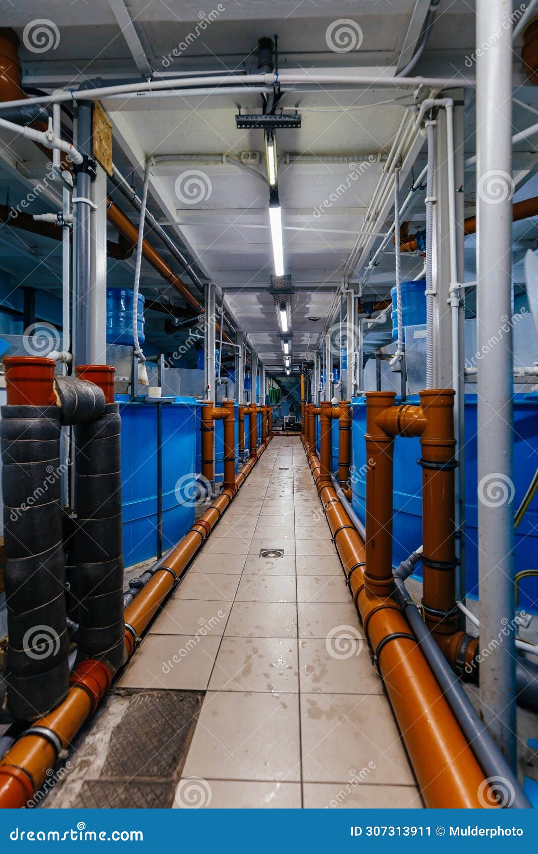 Round Water Basins with Automatic Feeding and Water Recirculation for ...