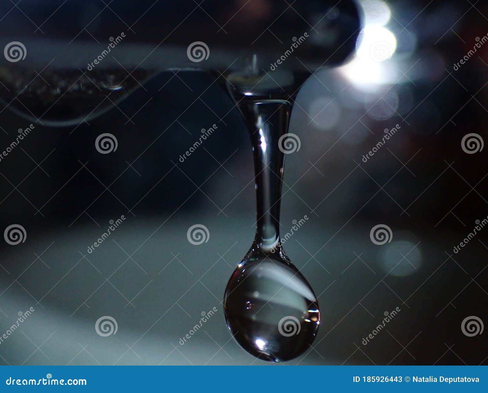 Water drop stock image. Image of round, water, drop - 185926443