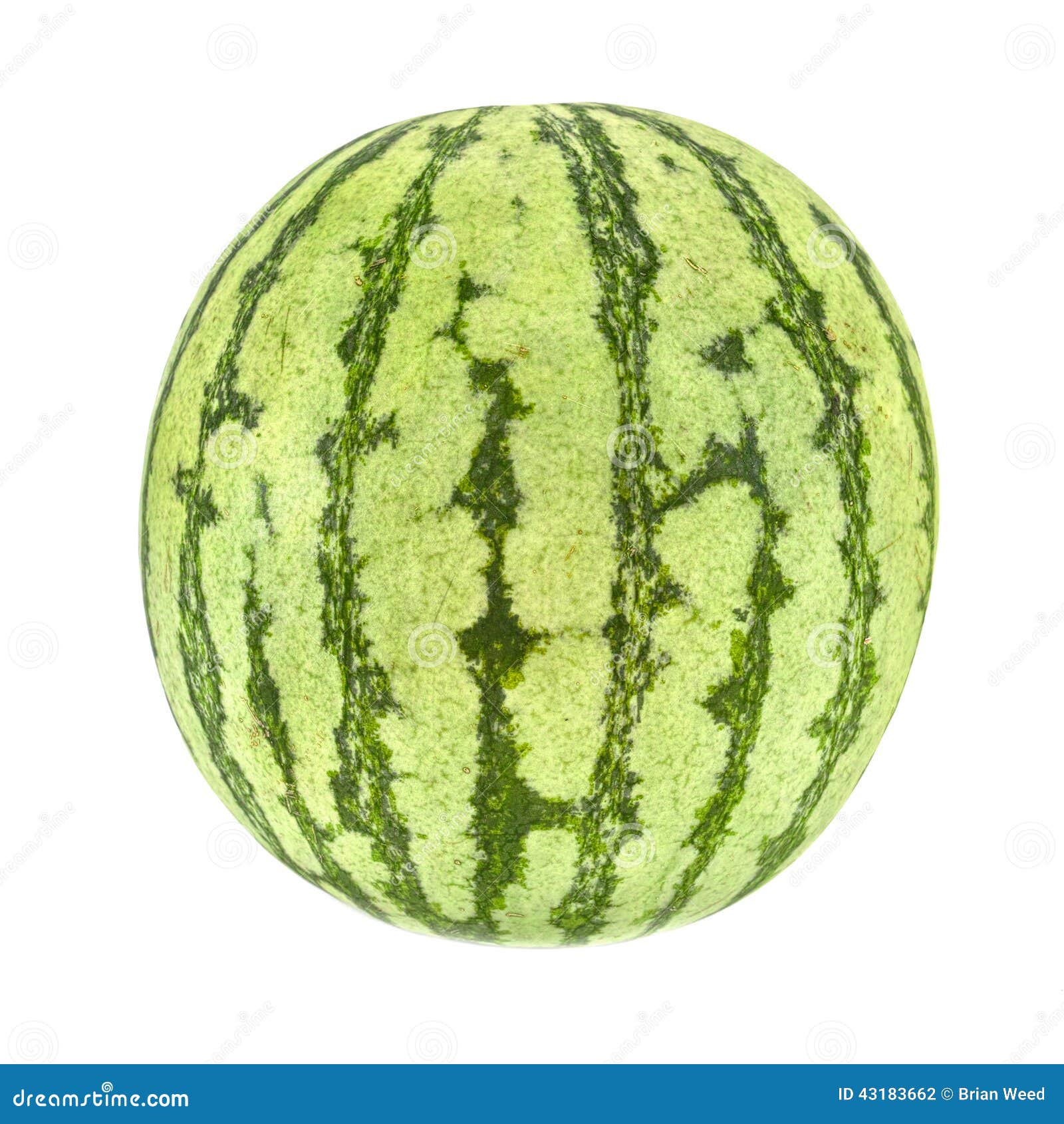 Round Watermelon Stock Photo - Image: 43183662