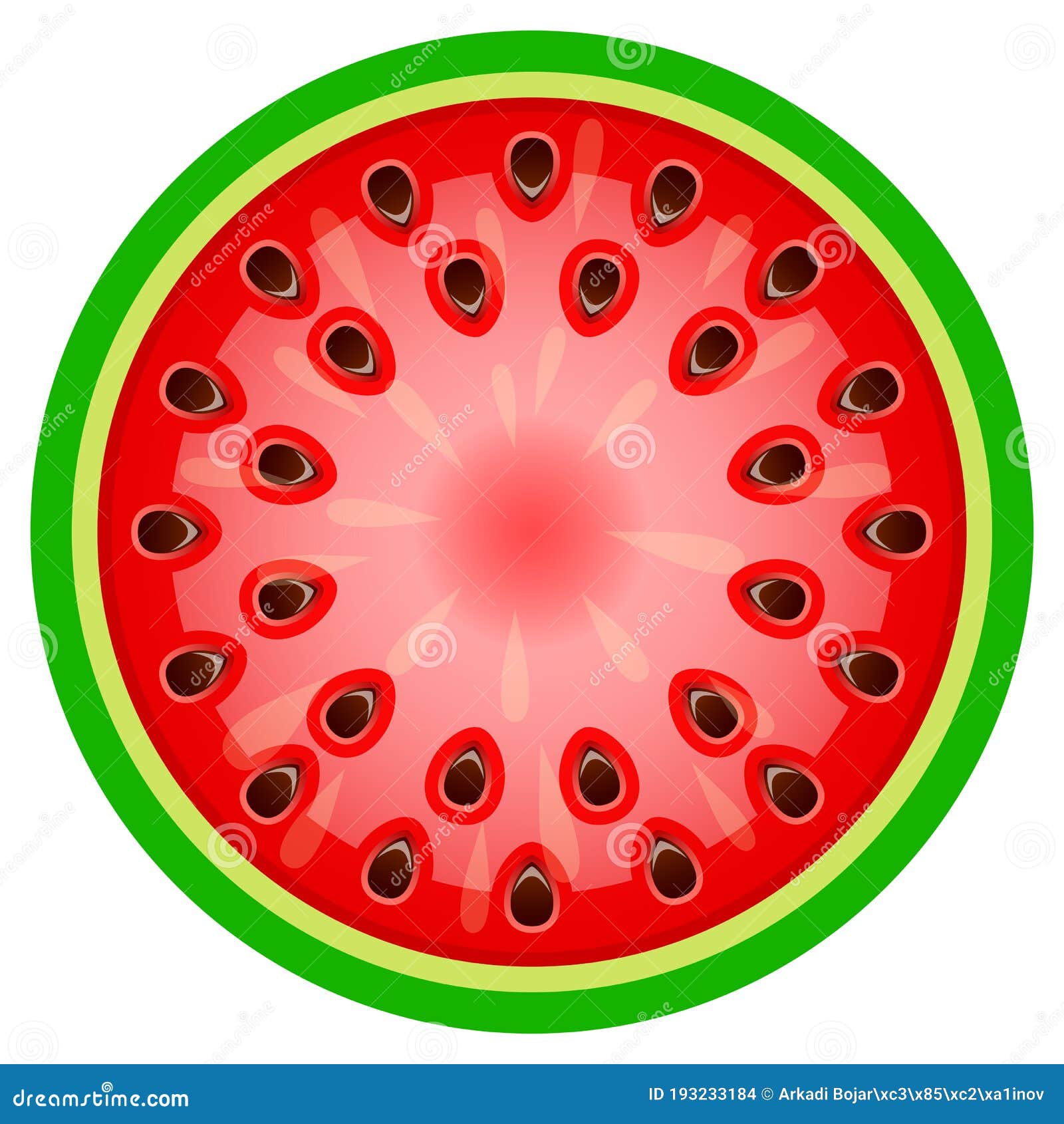 Round Watermelon Cross Section Vector Illustration | CartoonDealer.com ...