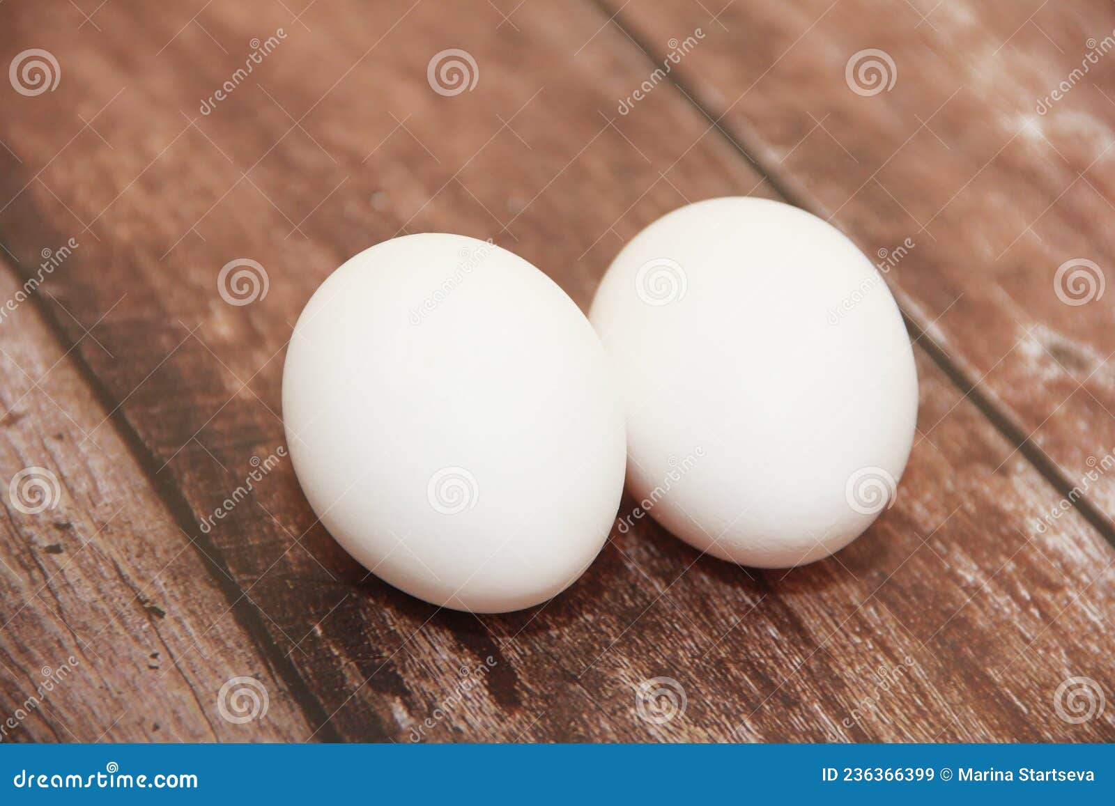 Round White Chicken Eggs with Hard Shells Stock Image - Image of ...