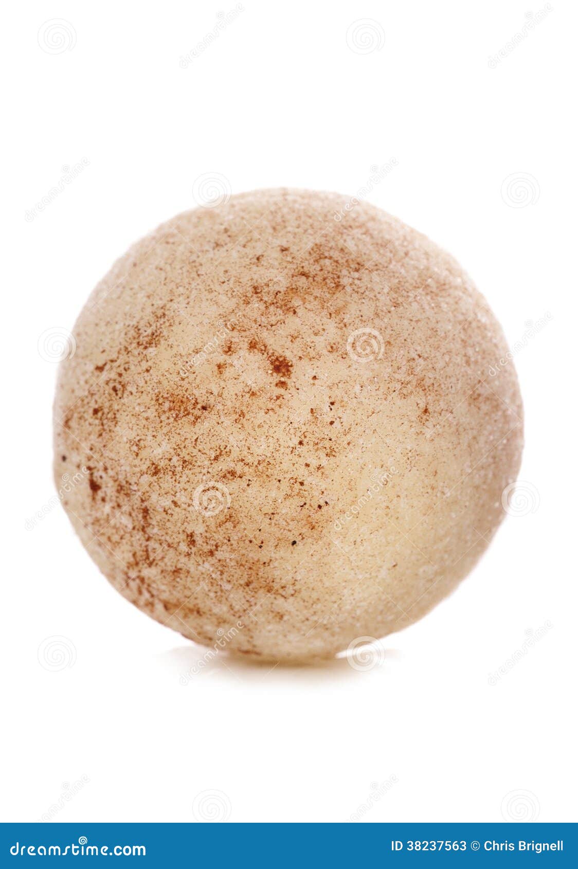Round white chocolate stock image. Image of truffle, round - 38237563