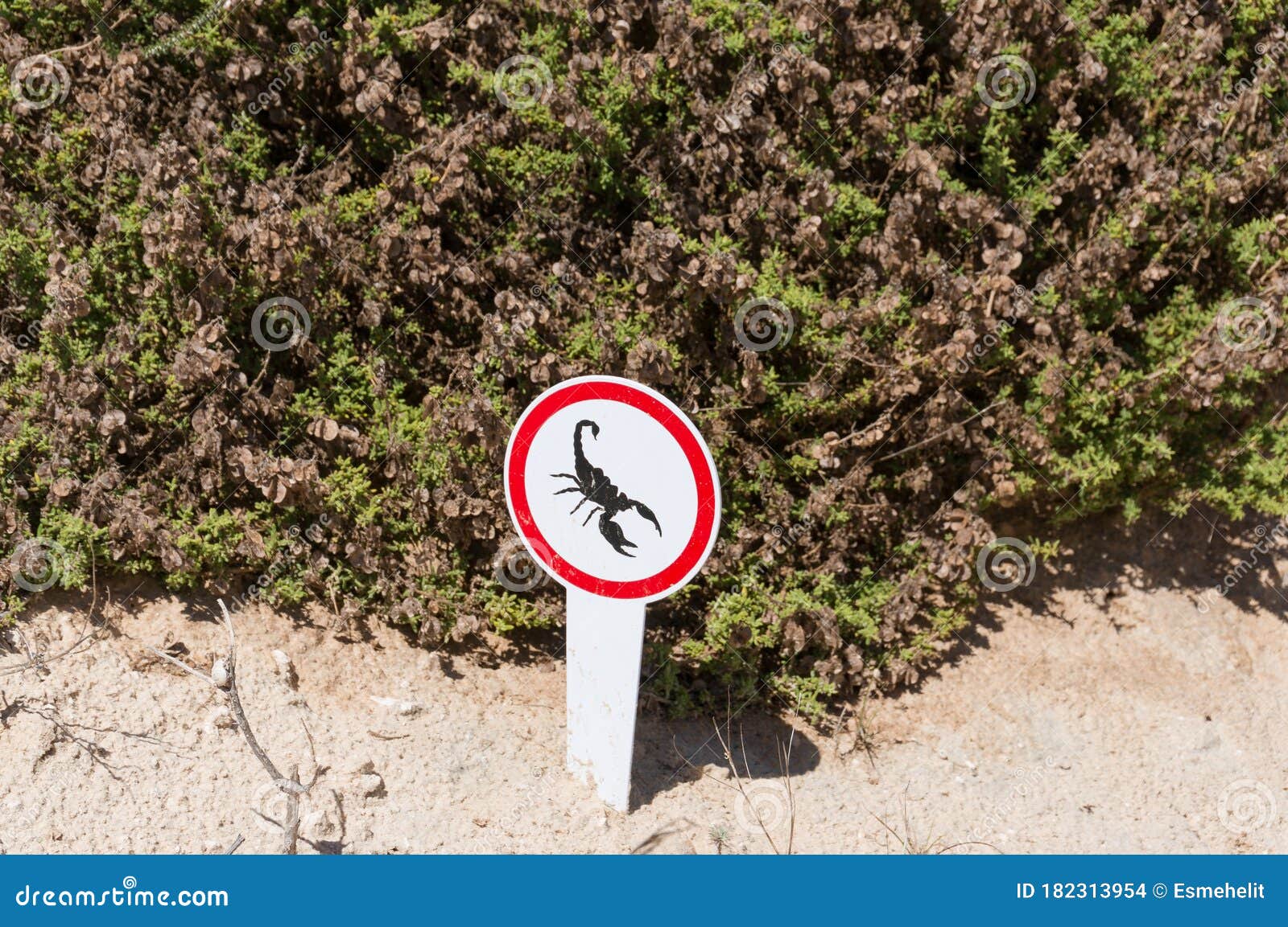 Round White and Red Warning Sign Warning of Venomous Scorpions Stock ...
