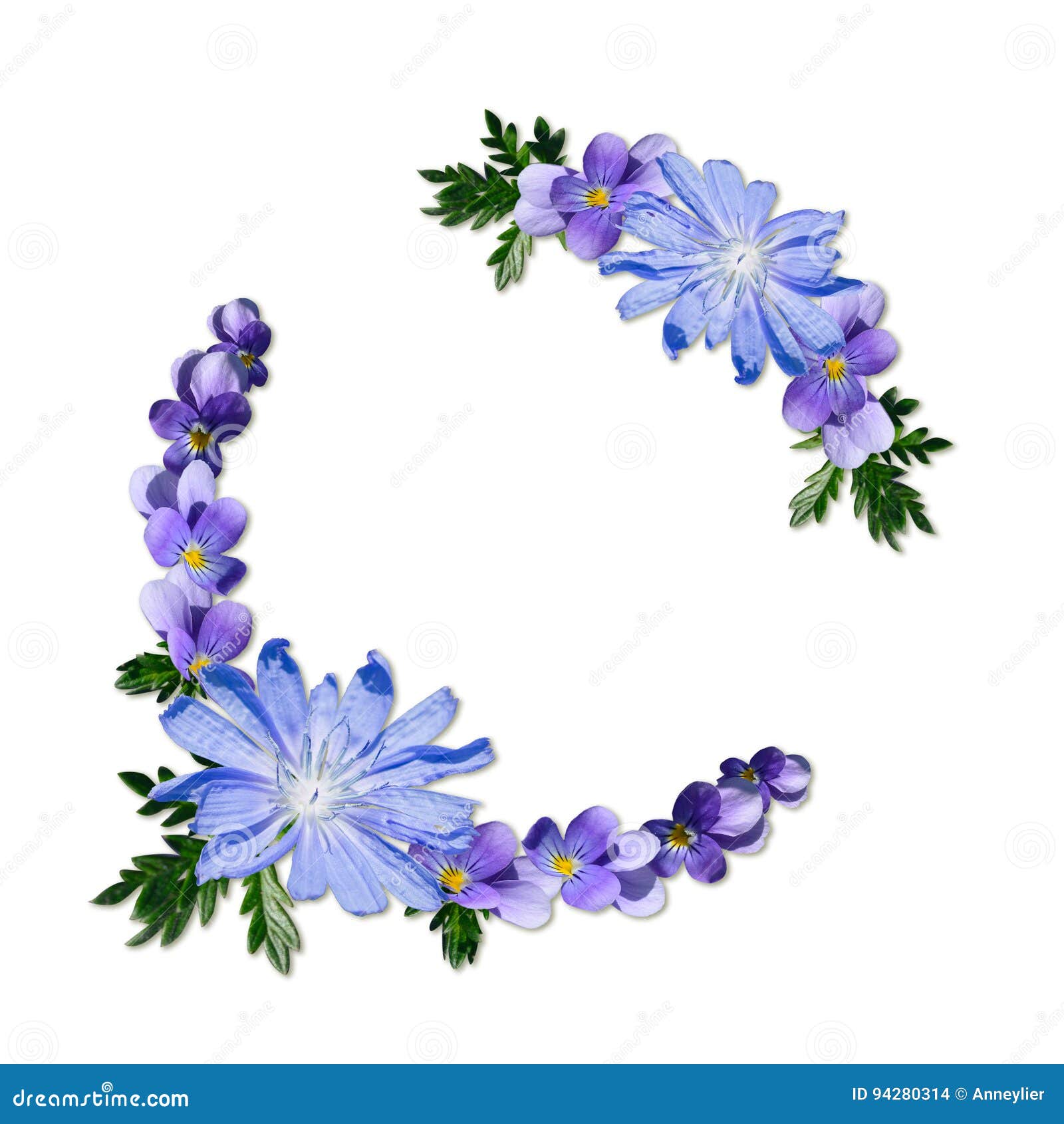 Round Frame of Blue Wild Flowers Stock Photo - Image of blooming ...