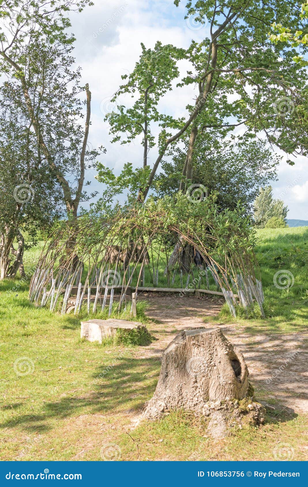 Round Willow Hide stock photo. Image of stem, wildlife - 106853756