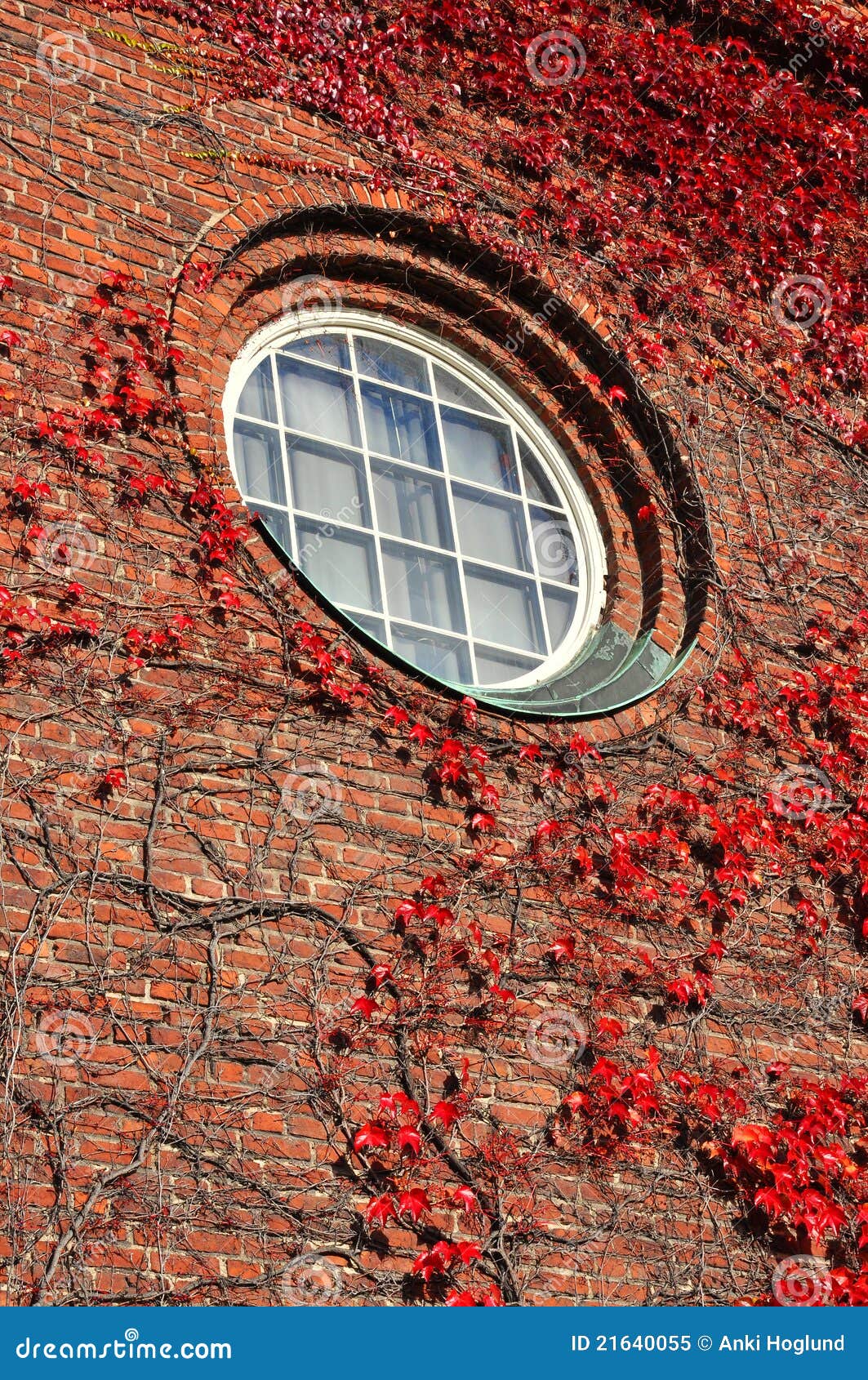 Round window stock image. Image of round, wall, autumn - 21640055