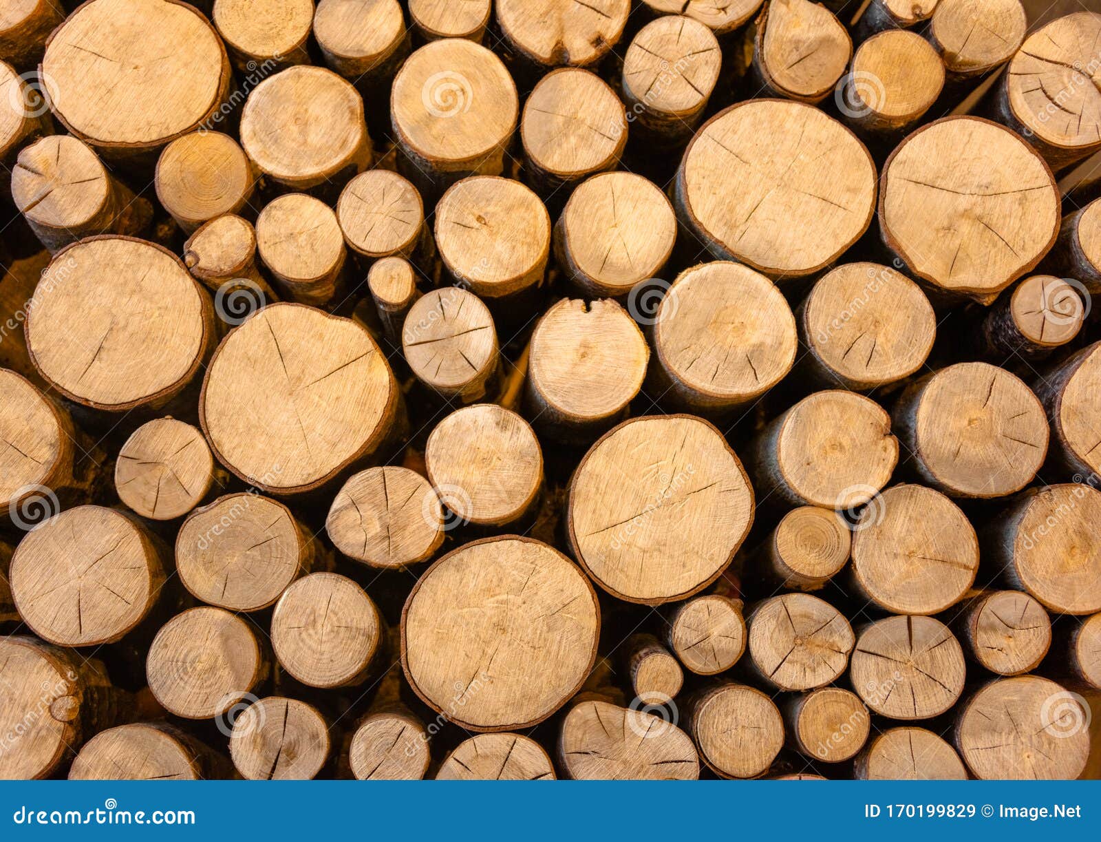 Round Wood Log Ends Natural Texture Backgound. Stock Image - Image of ...