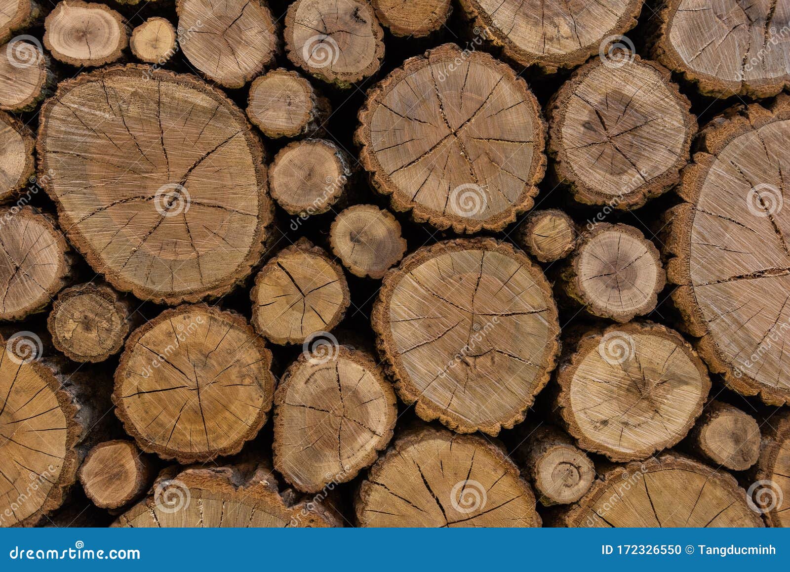 Round wood stem pattern stock photo. Image of wood, textured - 172326550