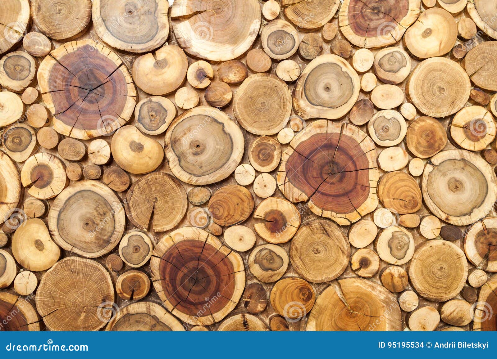 Round Wooden Stumps Background,Trees Cut Section for Background Stock ...