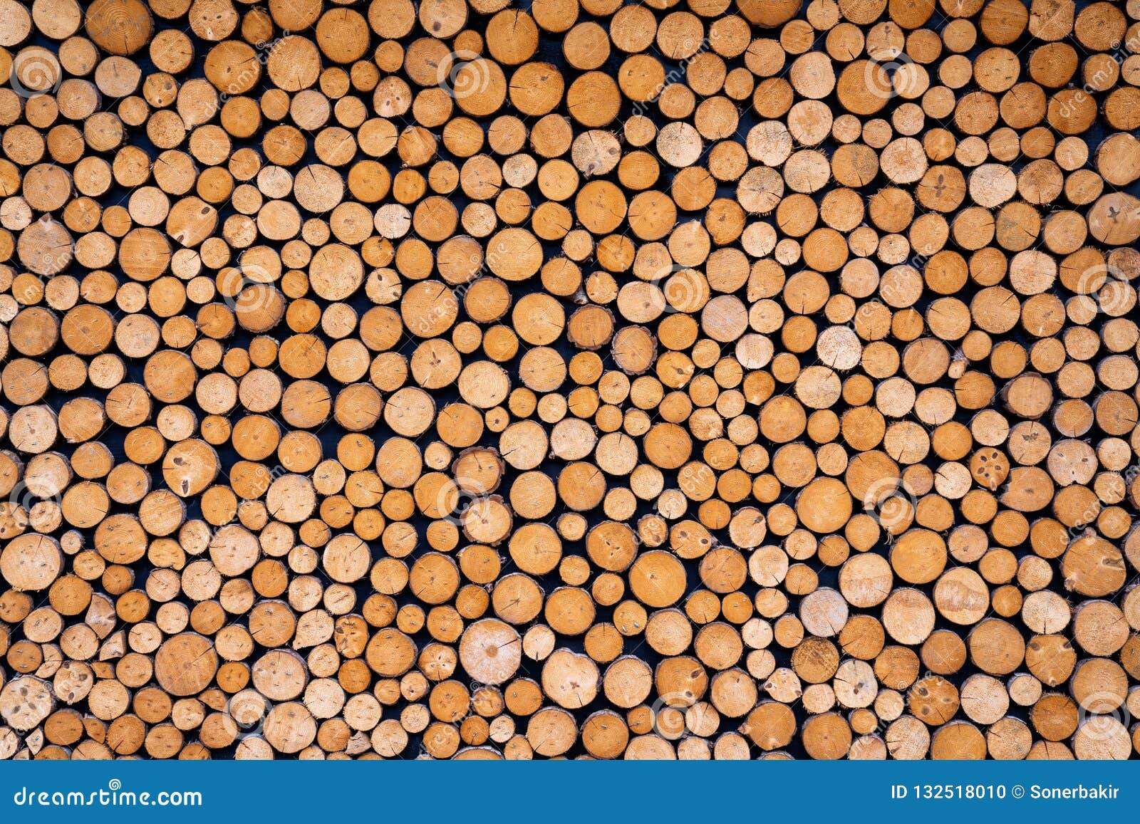 860 Round Wooden Stumps Stock Photos - Free & Royalty-Free Stock Photos ...