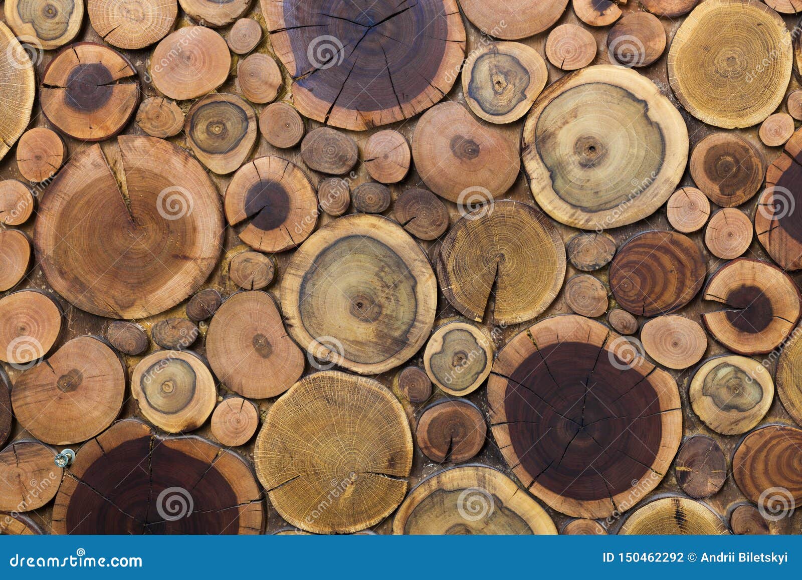 Round Wooden Unpainted Solid Natural Ecological Soft Colored Brown and ...