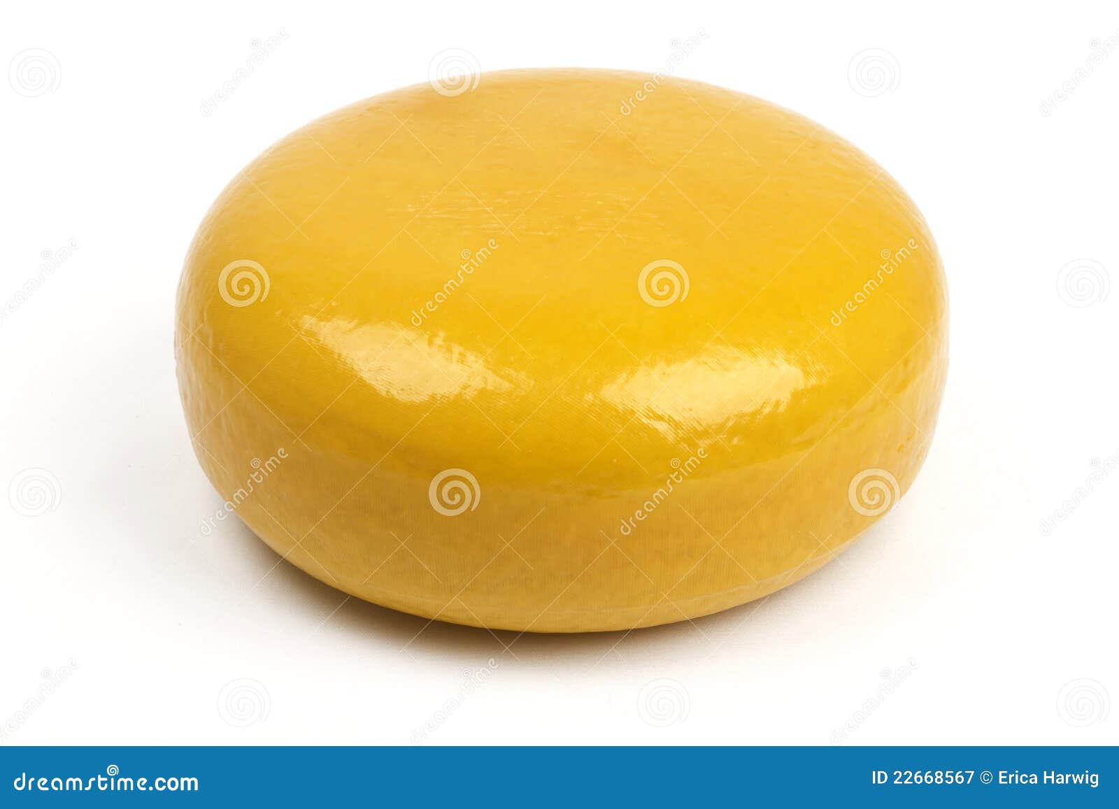 Round yellow cheese stock image. Image of ingredient - 22668567