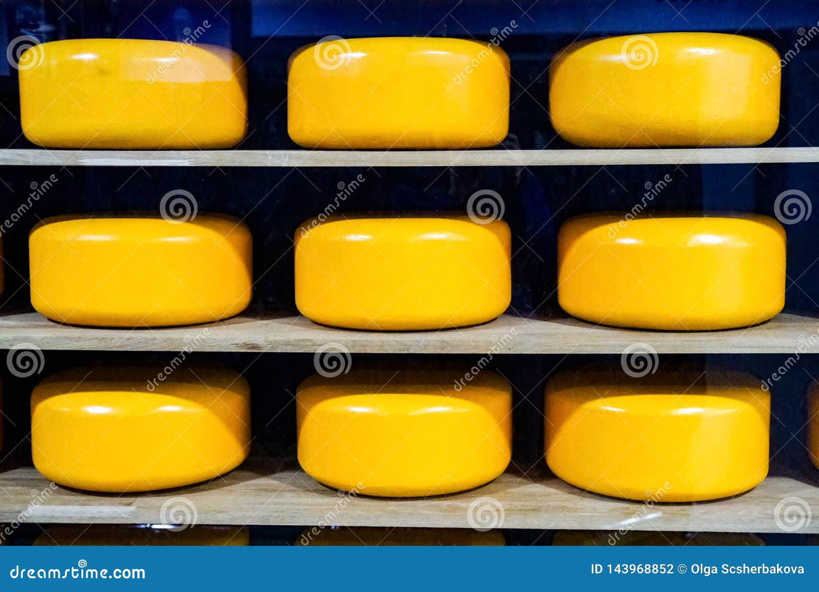 Round yellow cheese heads stock photo. Image of fermented - 143968852