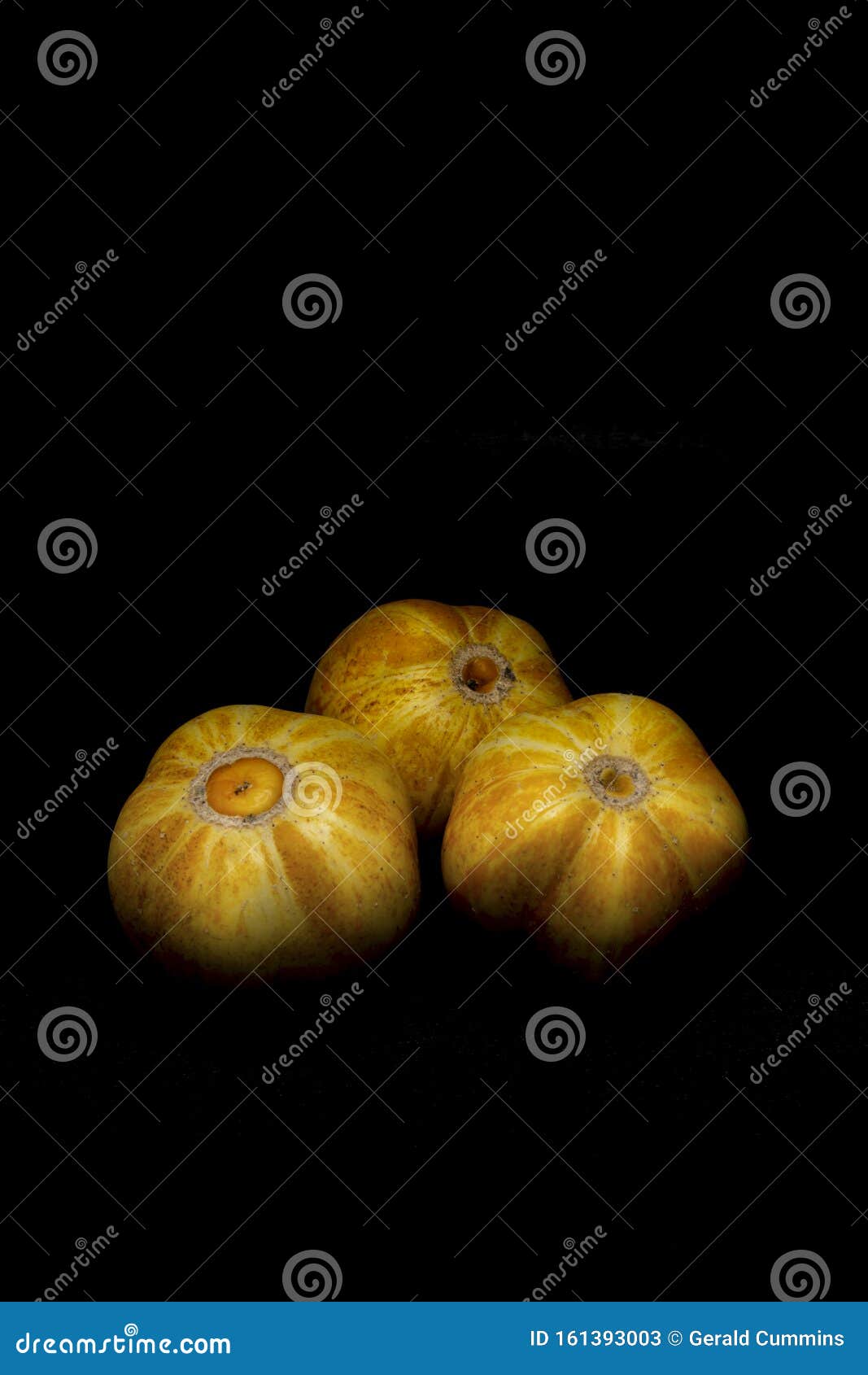 3 Round Yellow - Lemon Cucumbers Stock Image - Image of texture ...