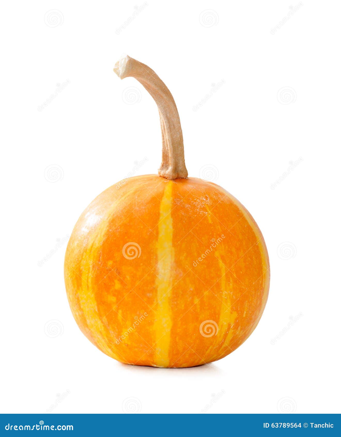 Round Yellow Decorative Pumpkin Isolated Stock Photo - Image of ...