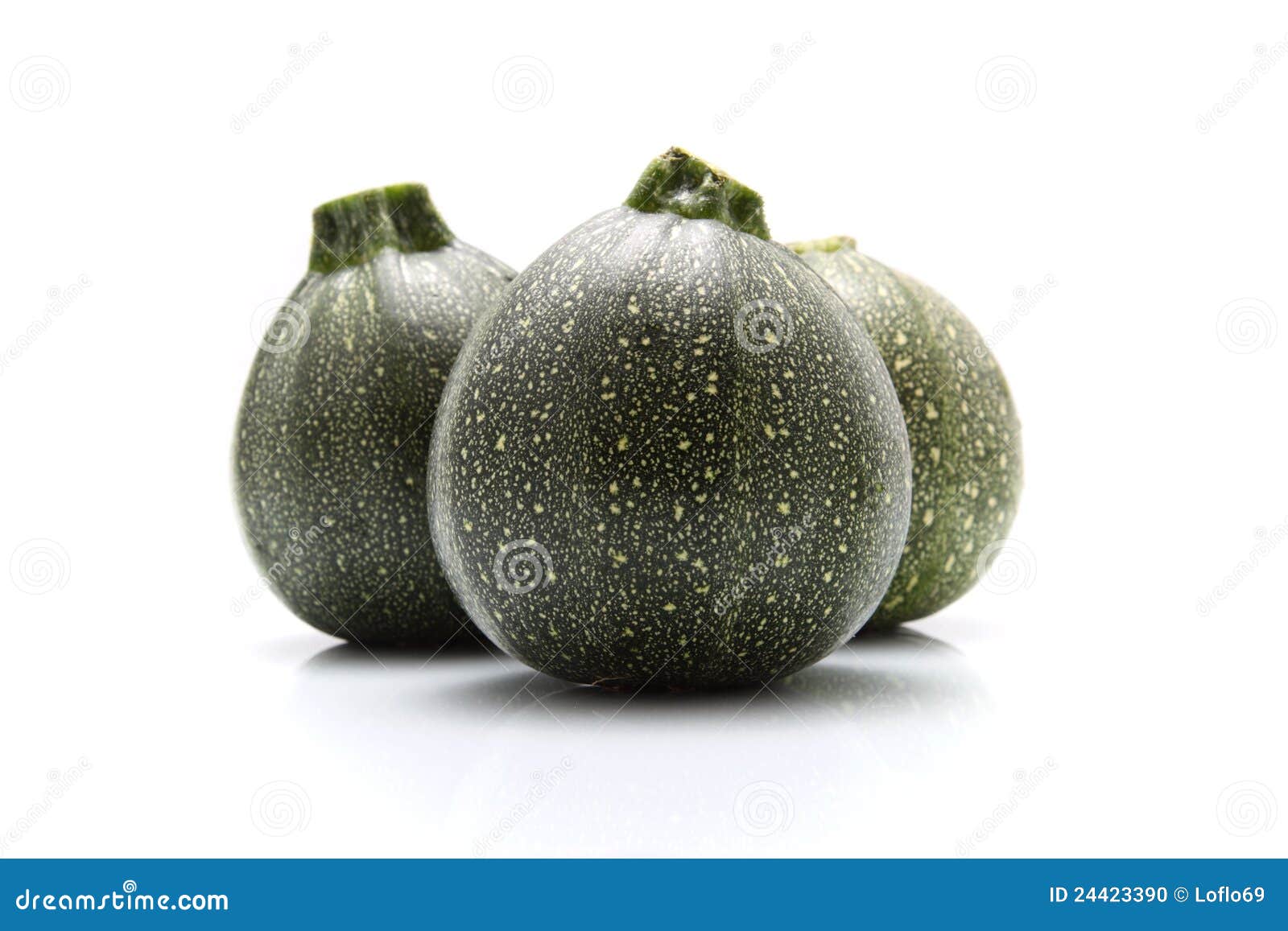 Round zucchini stock photo. Image of ingredient, courgette - 24423390