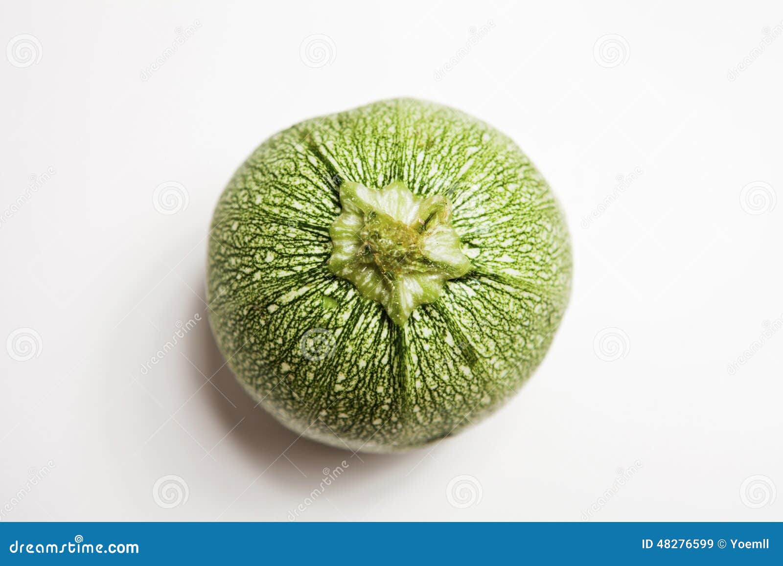 Round Zucchini-Courgette stock image. Image of green - 48276599
