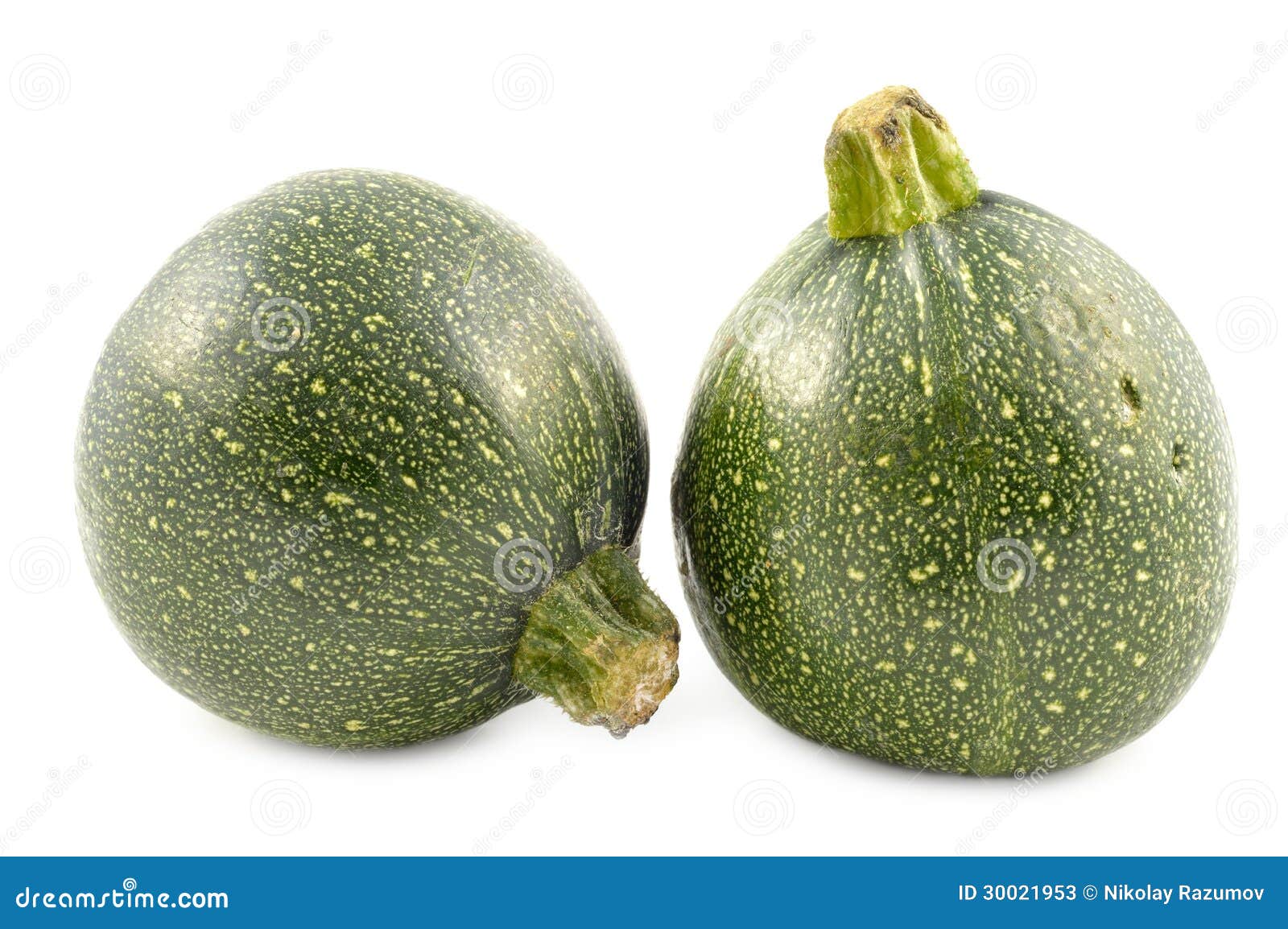 Round Zucchini on a White Background Stock Image - Image of healthy ...
