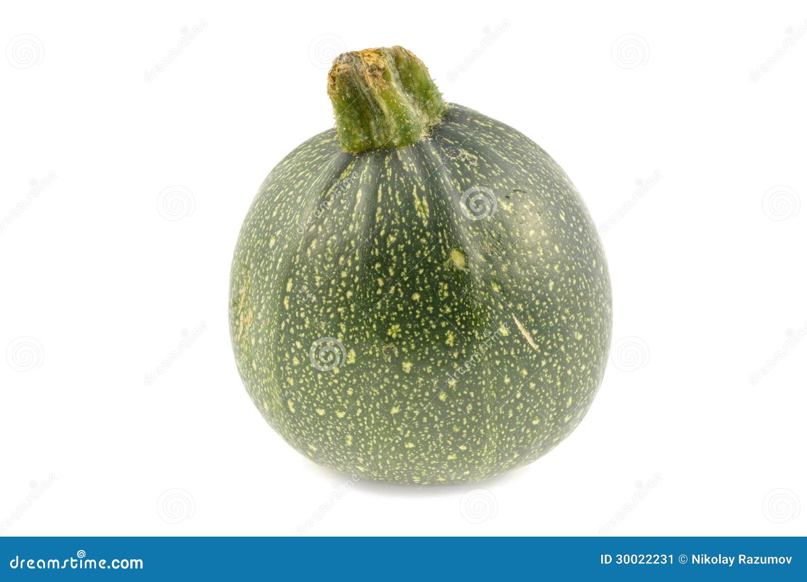 Round Zucchini on a White Background Stock Image - Image of sweet ...