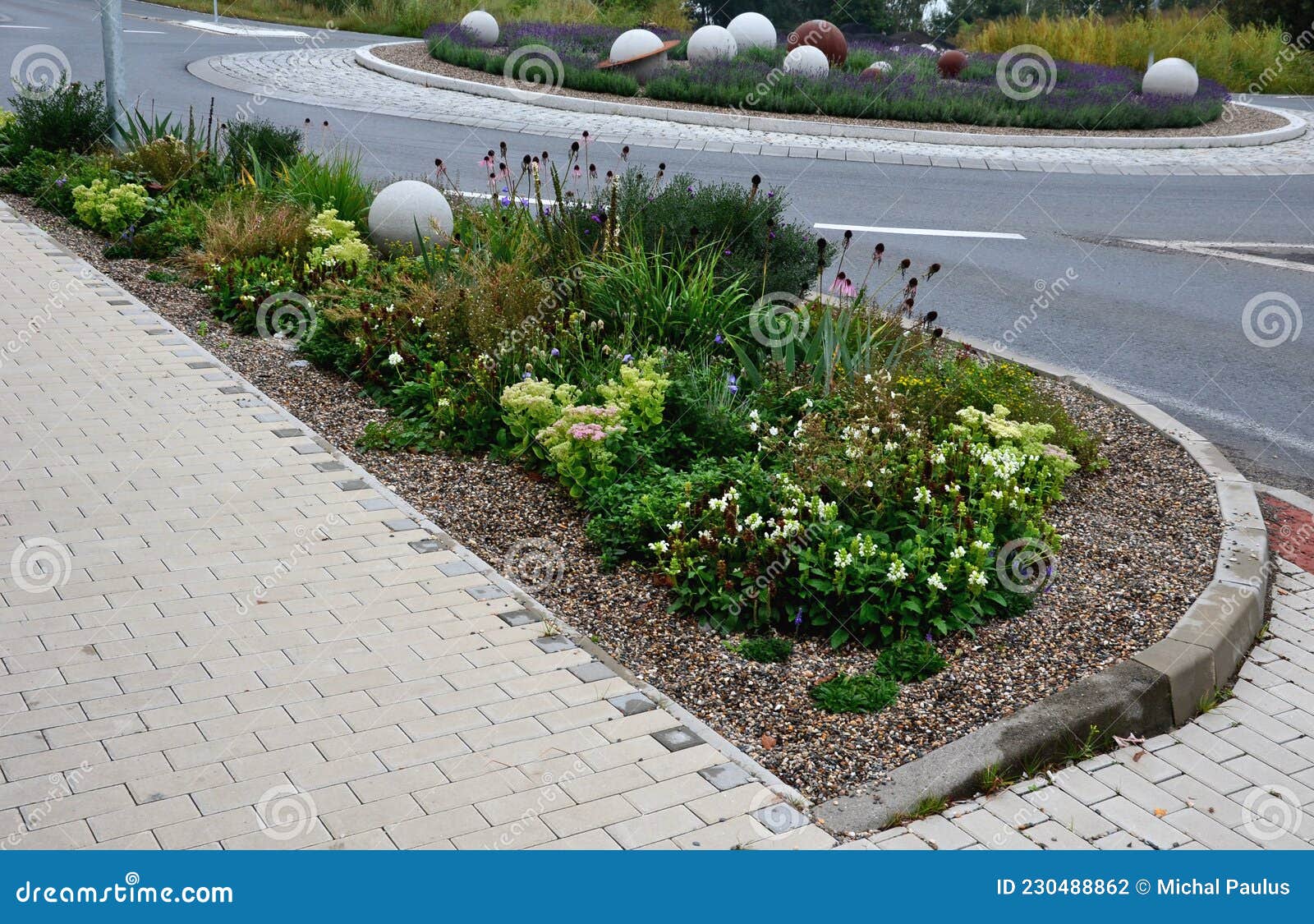 Roundabout with a Lavender Bed in Which There are White Large Balls of ...