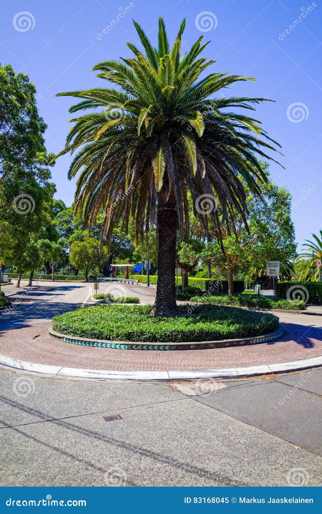 Roundabout With Palm Tree, Sydney, Australia Royalty-Free Stock Image ...