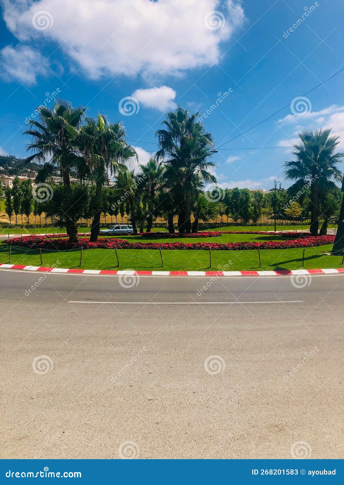 Roundabout Road with Roses and Palms Stock Image - Image of circular ...