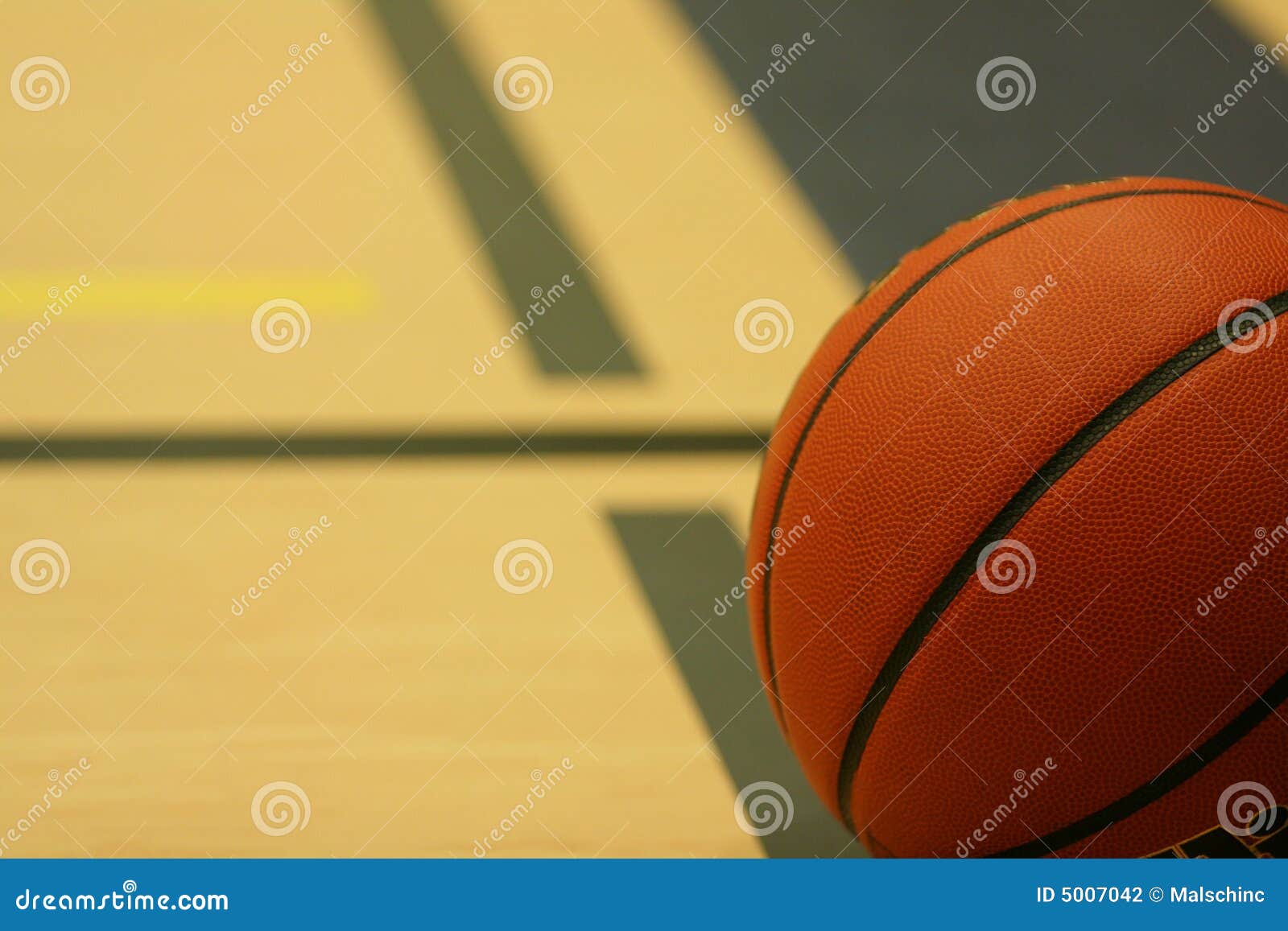 Roundball Picture. Image: 5007042