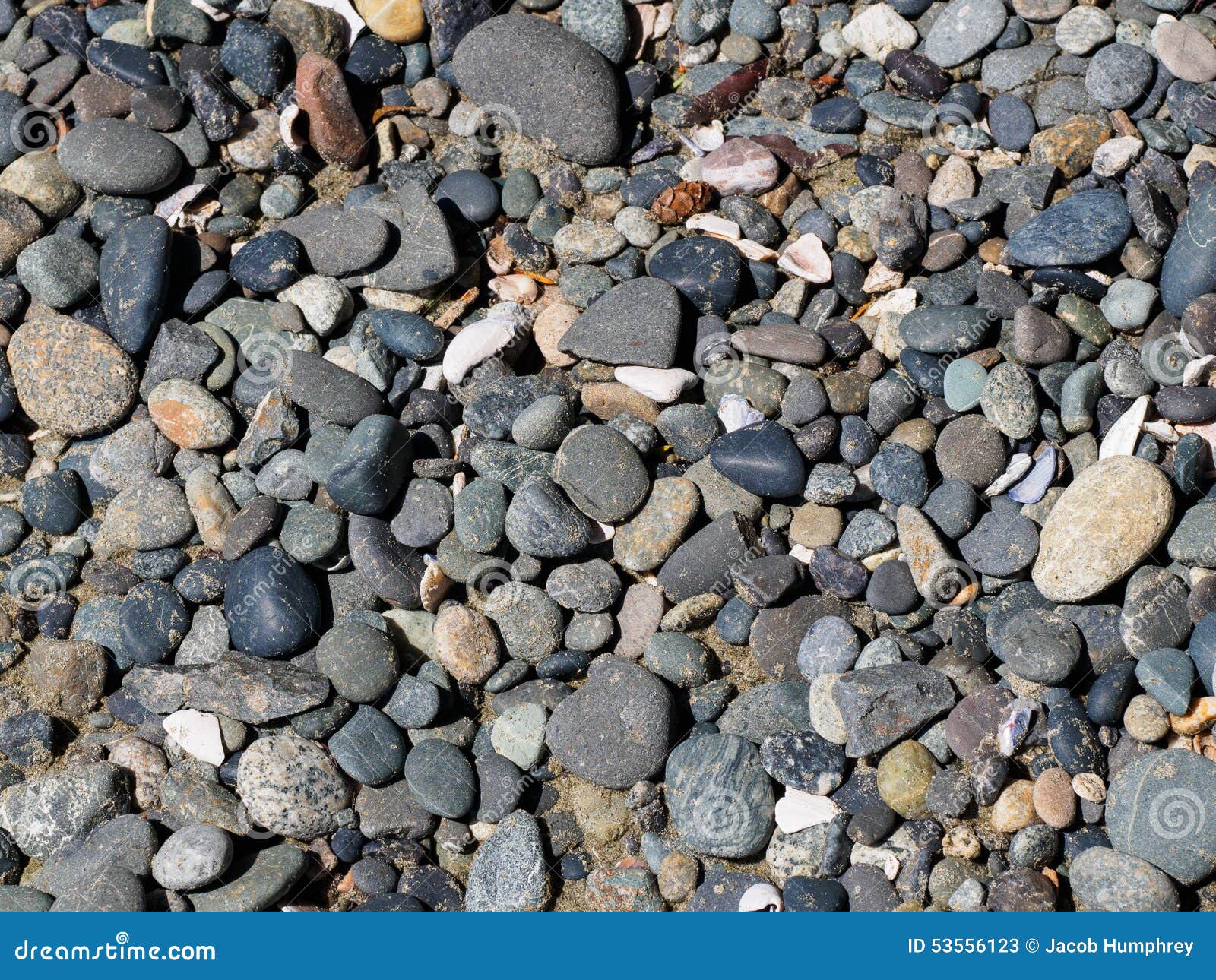 Rounded beach rocks stock image. Image of multiple, beach - 53556123