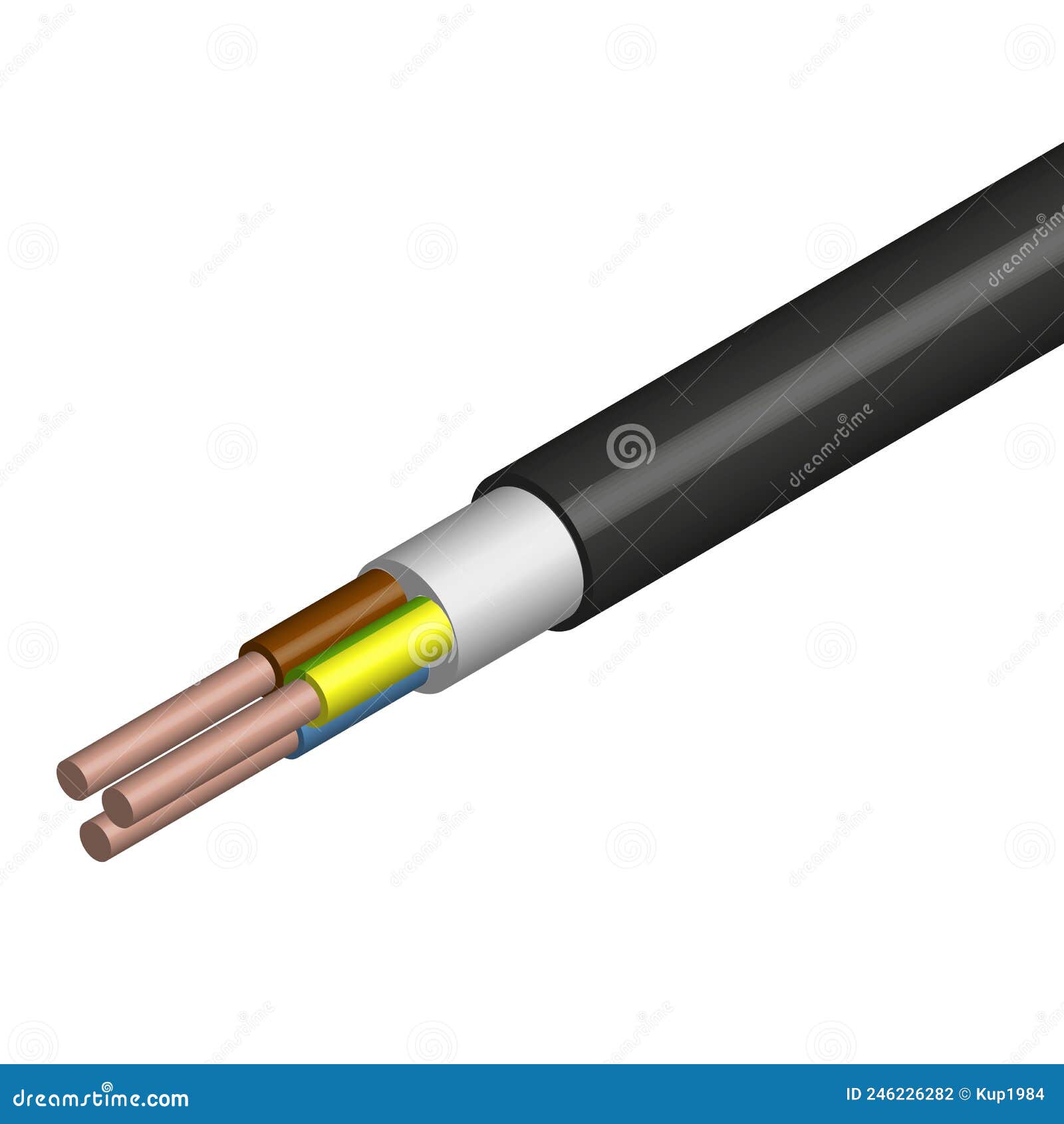 Rounded Cable with Three Insulated Copper Conductors, Vector ...