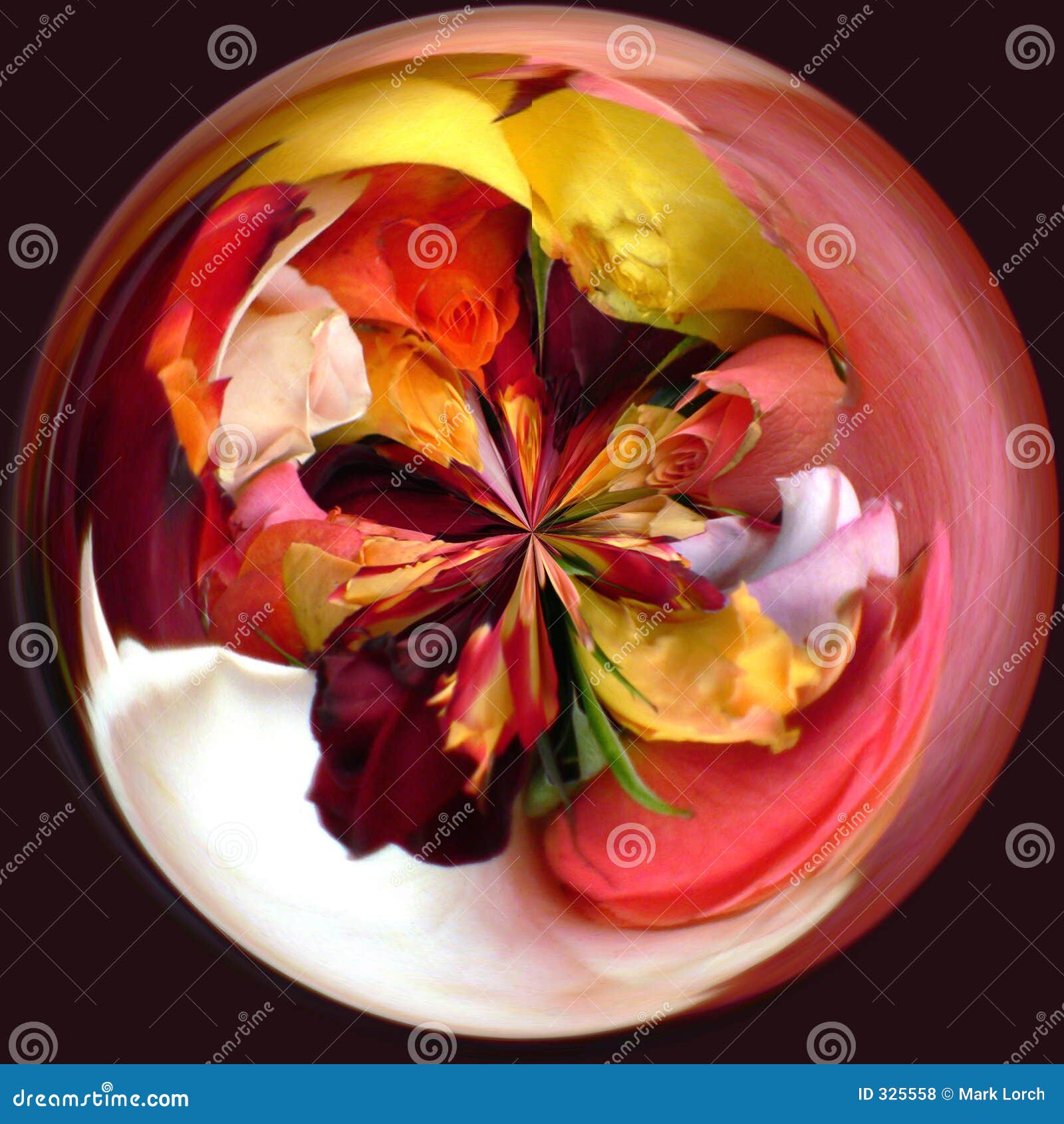 Rounded coloured roses stock photo. Image of love, wierd - 325558