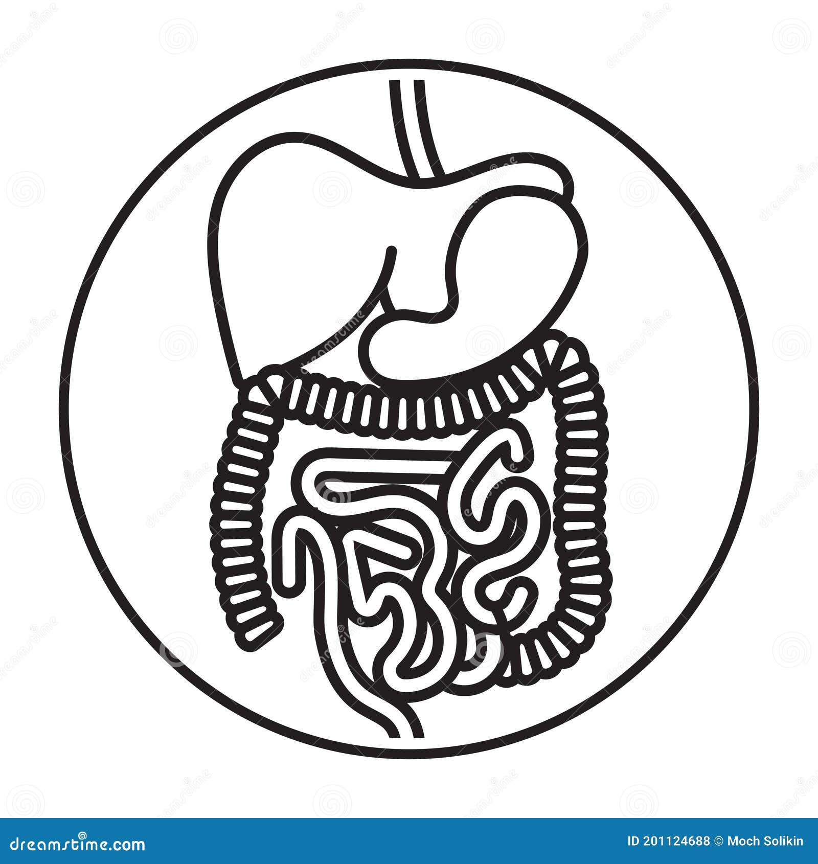 Rounded the Human Digestive System Organs Line Art Vector Icon for Apps ...
