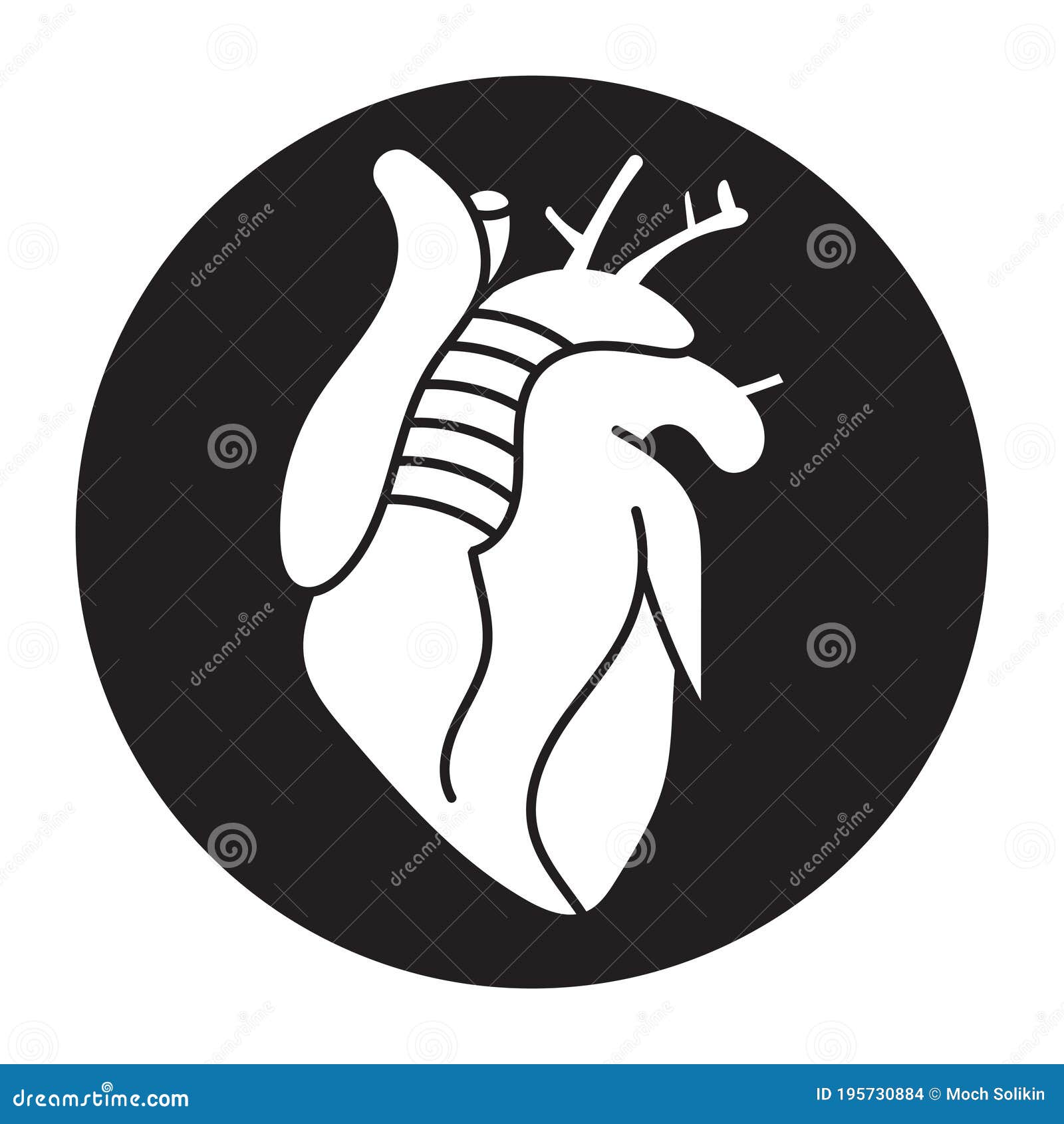 Rounded a Human Heart Internal Organs Vector Icon for Apps or Website ...