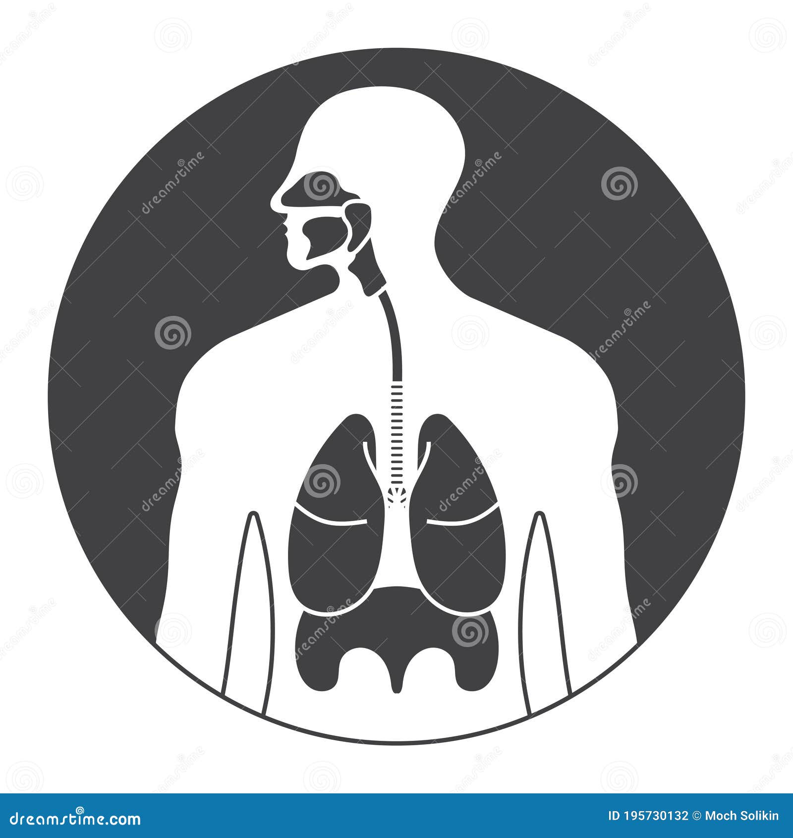 Rounded the Human Respiratory System or Respiratory Tract Flat Icon for ...