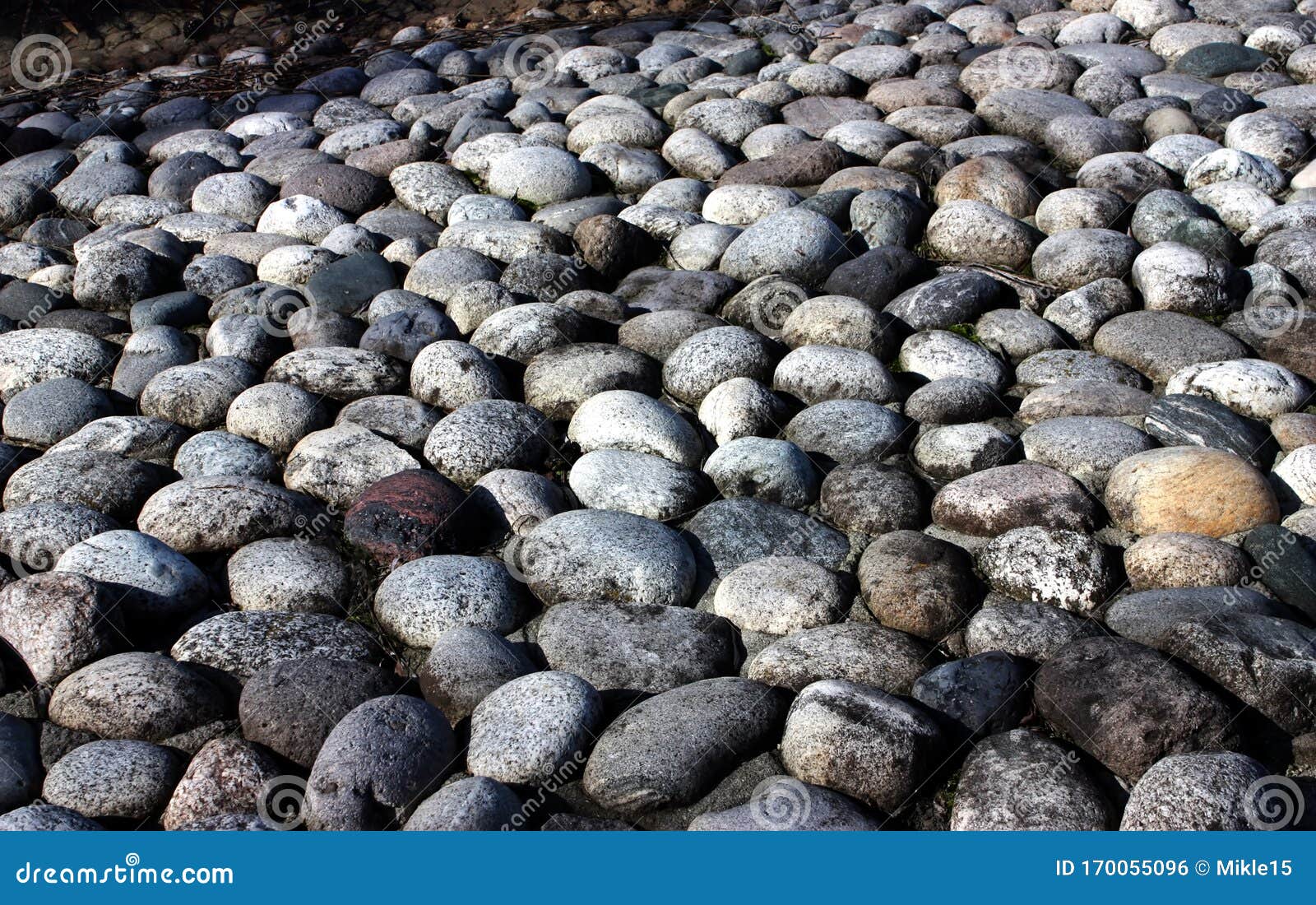 Rounded pebbles closeup stock photo. Image of beach - 170055096