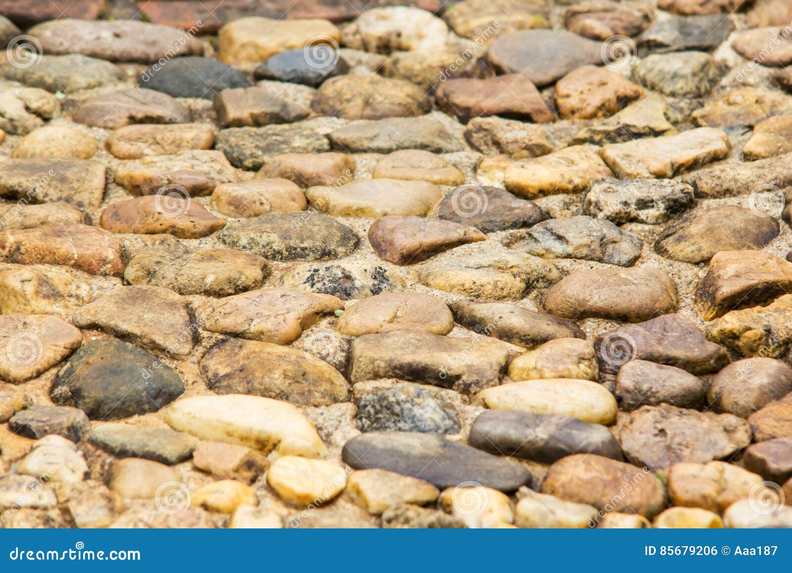 Rounded rock floor texture stock photo. Image of coast - 85679206