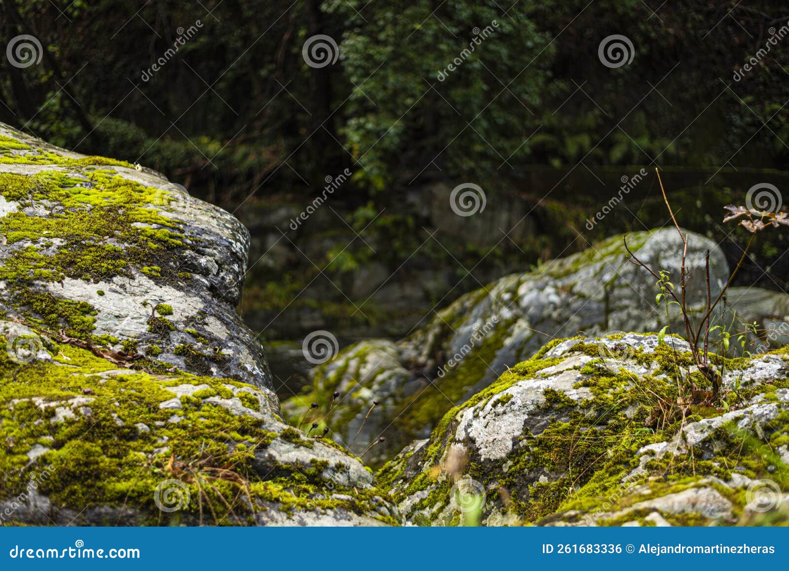 Rounded Rocks Due To the Erosion of River Water Stock Photo - Image of ...