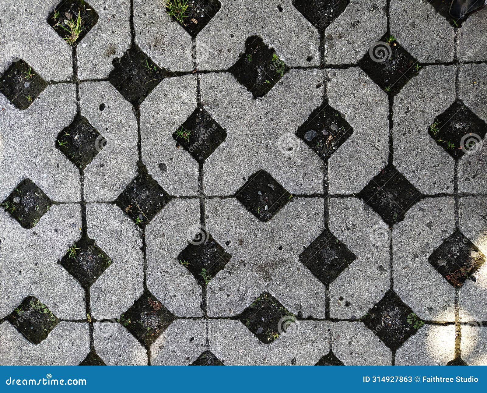 Rounded Side Square Paving Cobble Stone Applied on Public Park Walkways ...