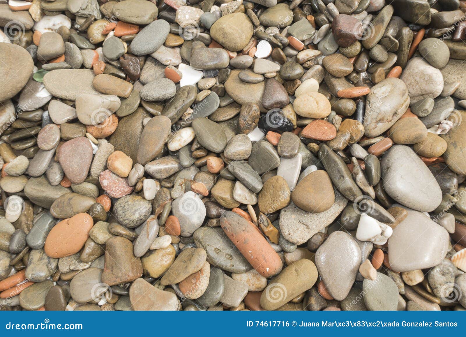 Rounded stones stock photo. Image of gravel, round, smooth - 74617716
