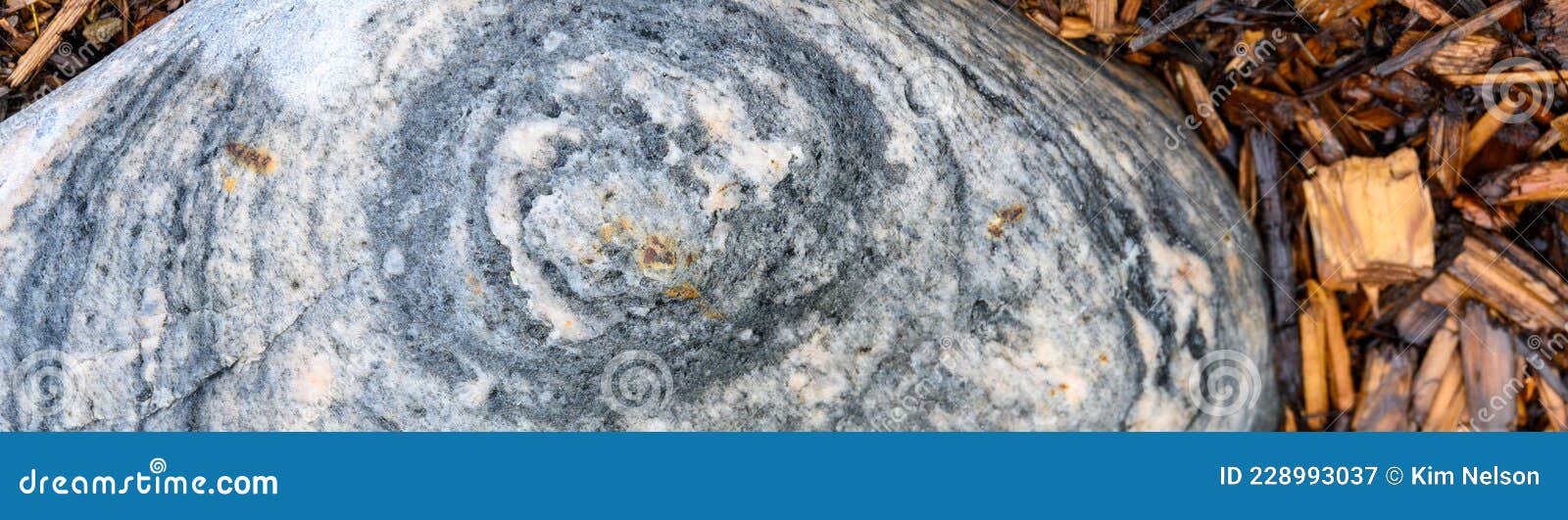 Rounded, Weathered, River Rock, Closeups in Nature As Textured ...