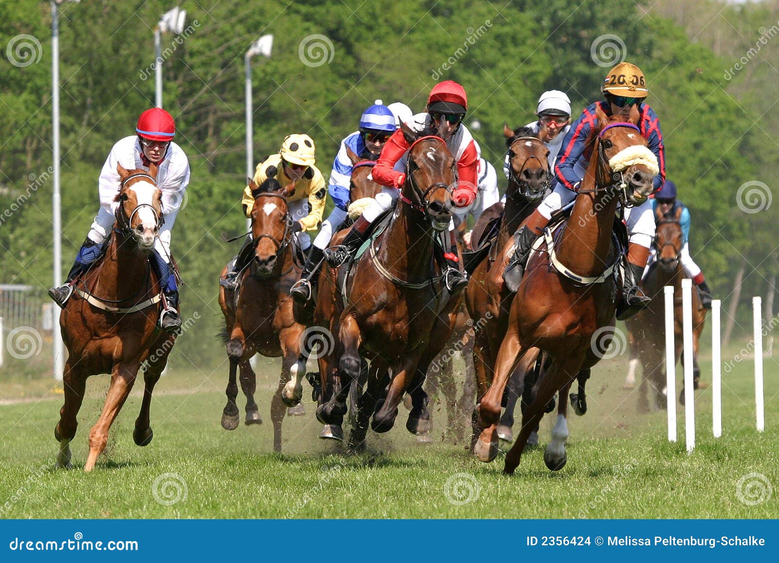 Rounding the turn stock photo. Image of gambling, race - 2356424
