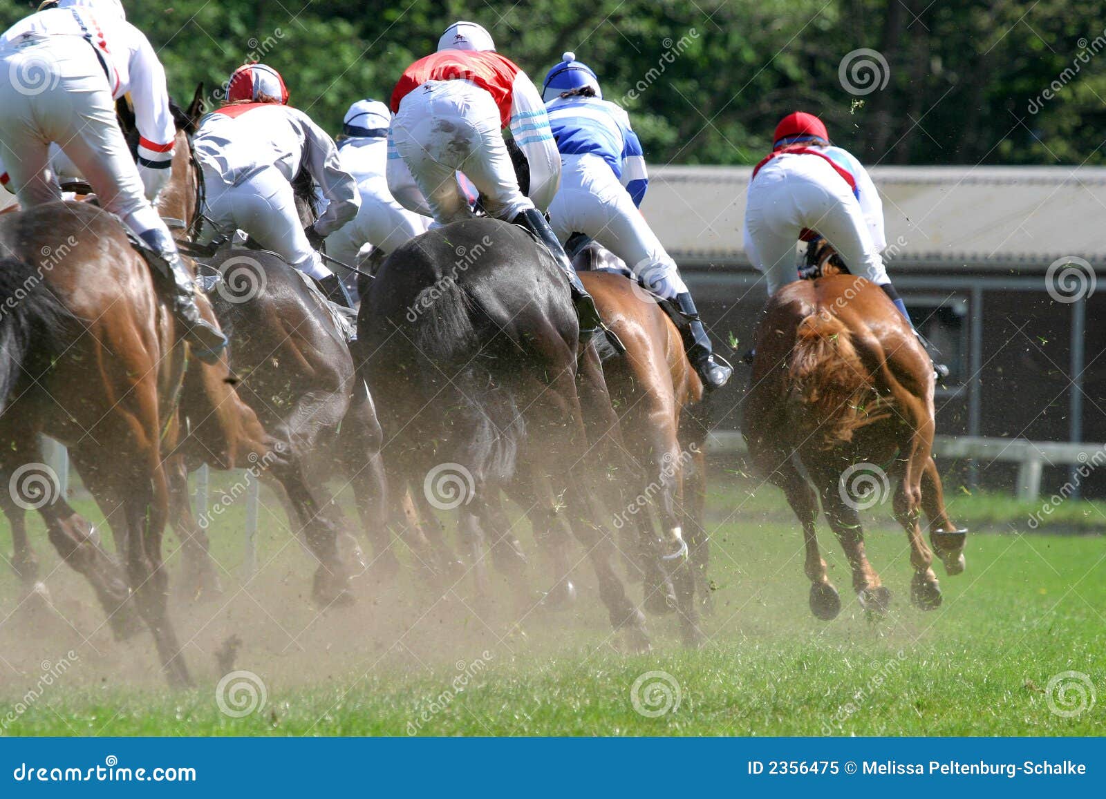 Rounding the turn stock image. Image of game, jockey, competition - 2356475