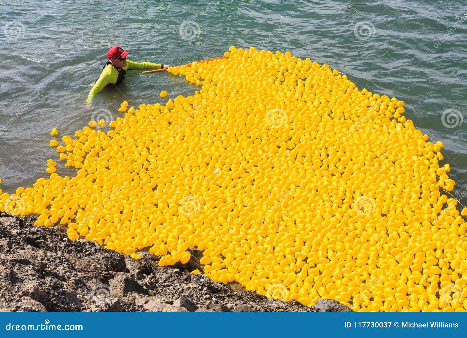 Rounding Up Thousands of Rubber Ducks after a Harbor Race Editorial ... Rounding Up Thousands of Rubber Ducks after a Harbor Race Editorial ...