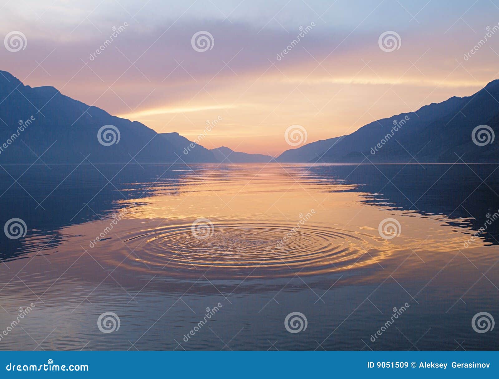 Rounds on the water stock image. Image of summer, tranquil - 9051509