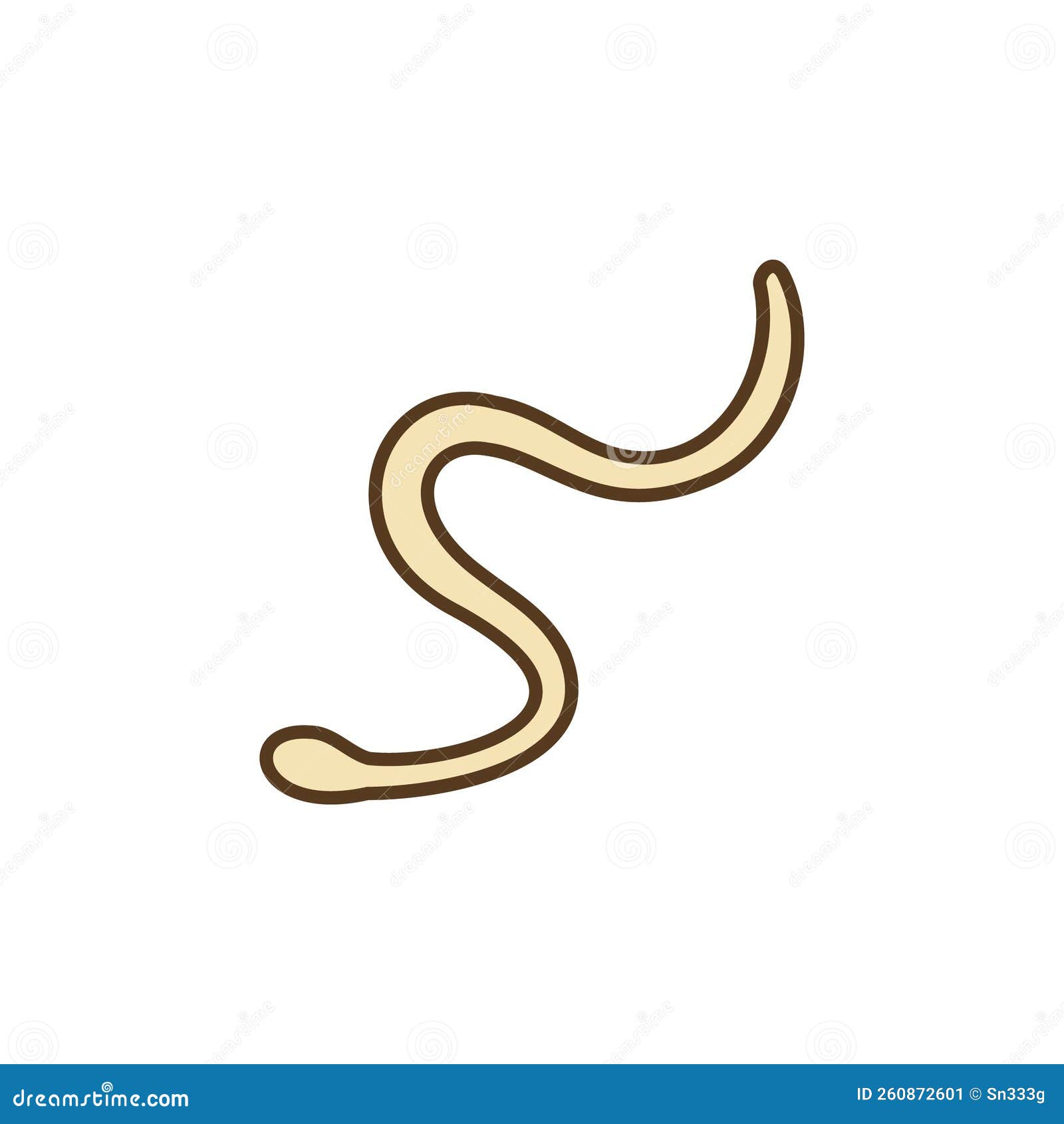 Roundworms Concept Vector Colored Icon or Sign Stock Vector ...