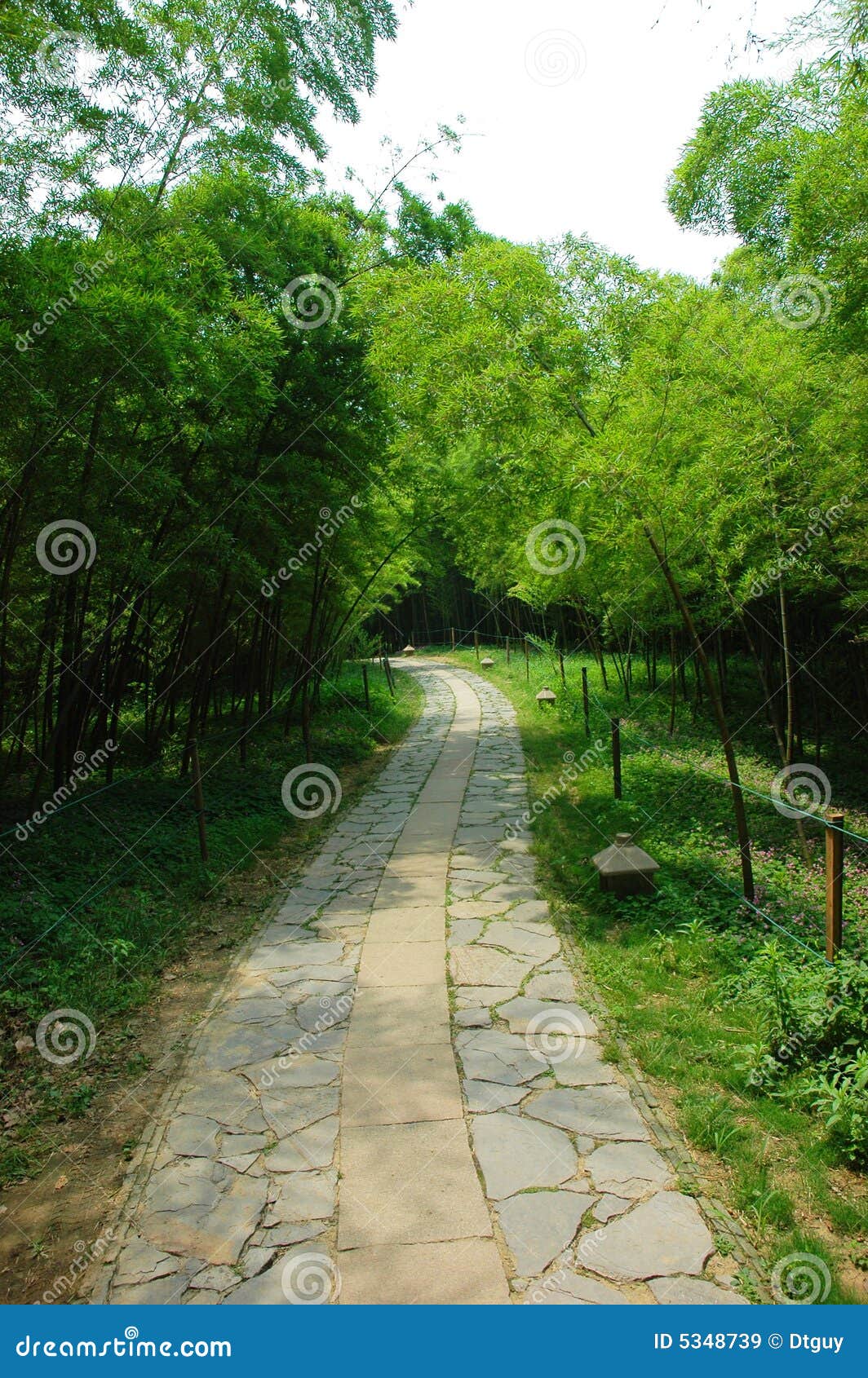 Stonily Stock Illustrations, Vecteurs, & Clipart – (58 Stock Illustrations)