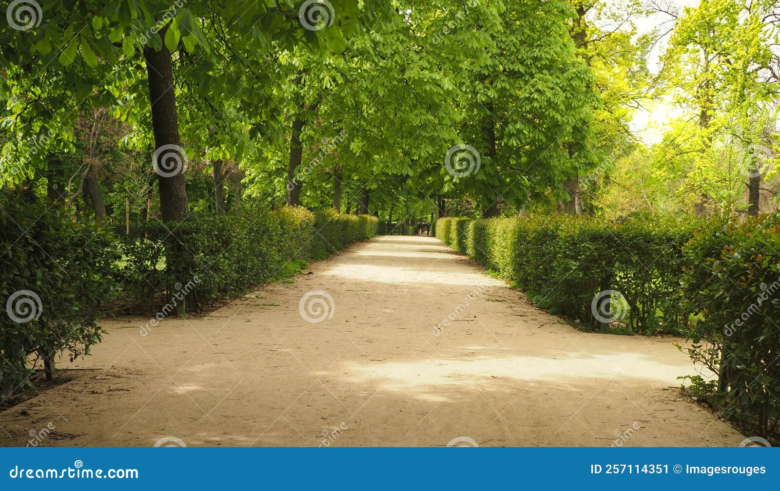 Route Along the Park`s Walking Path for Exercise Stock Image - Image of ...