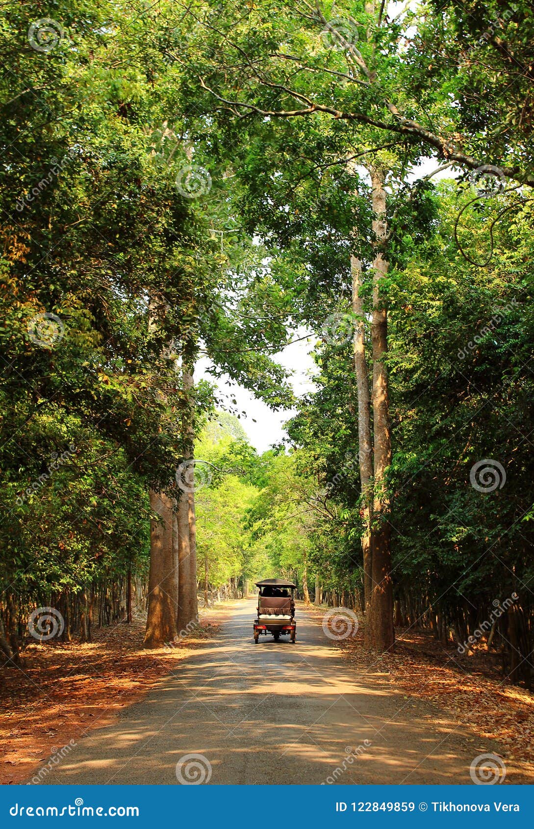Route Dans La Jungle Tropicale Image stock - Image du idyllique ...