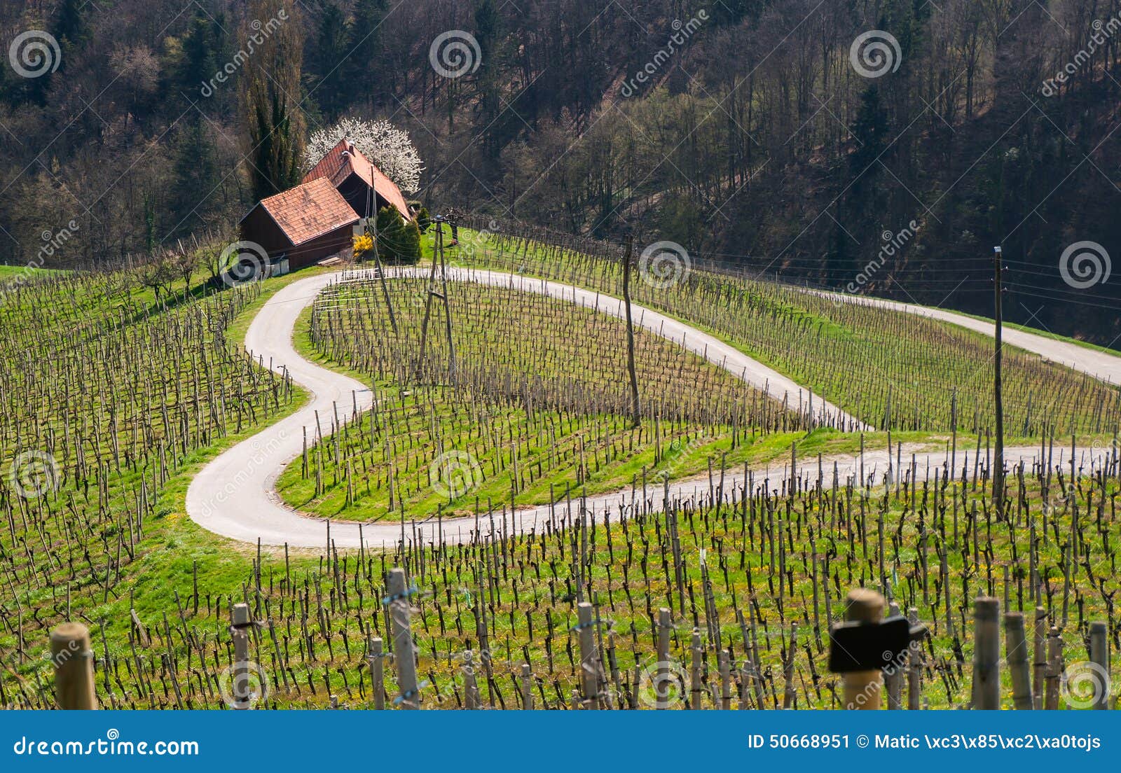 Route Dans Une Forme D'un Coeur, Maribor Image stock - Image du fond ...