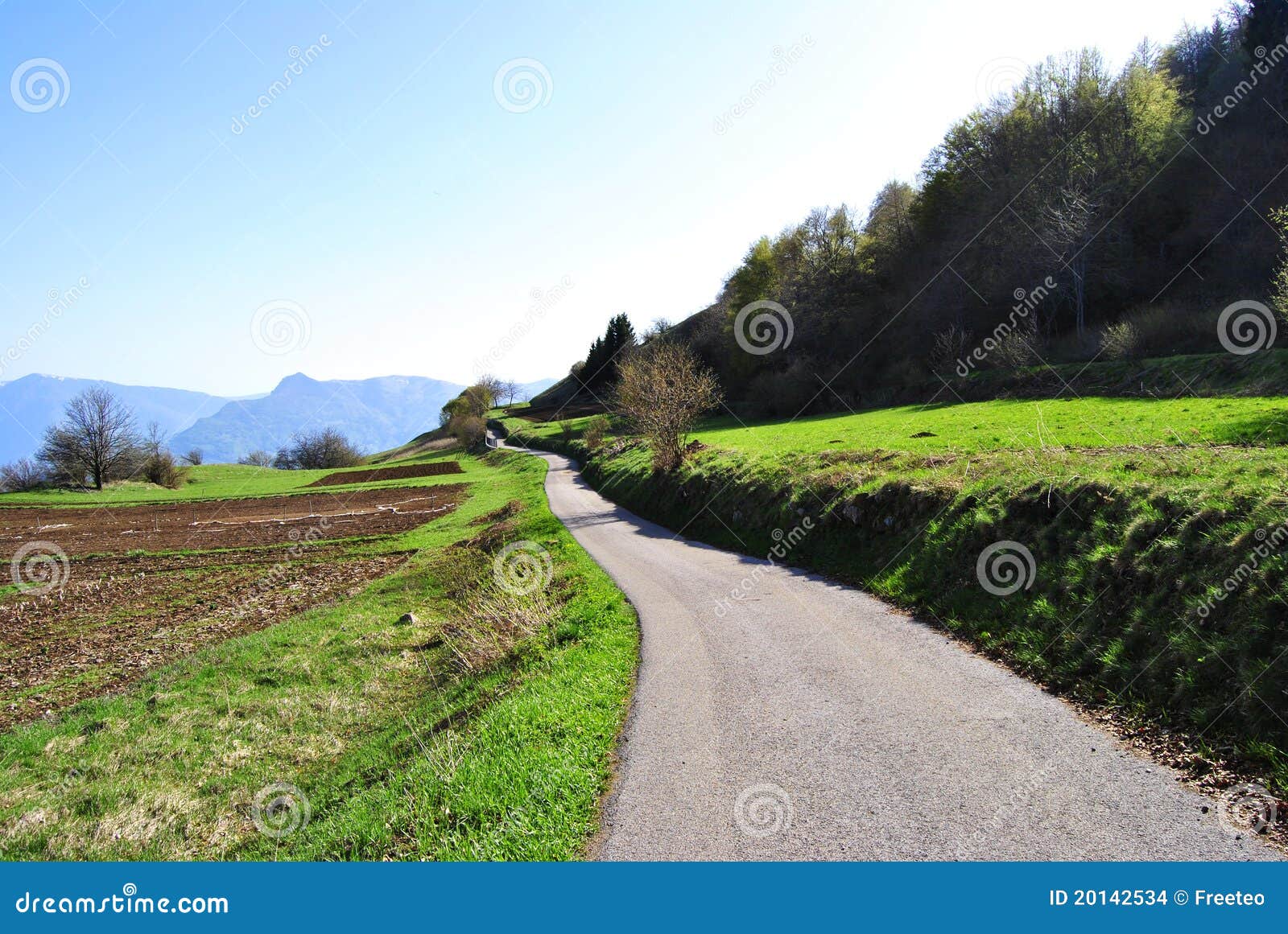 Route de campagne photo stock. Image du pays, nature - 20142534