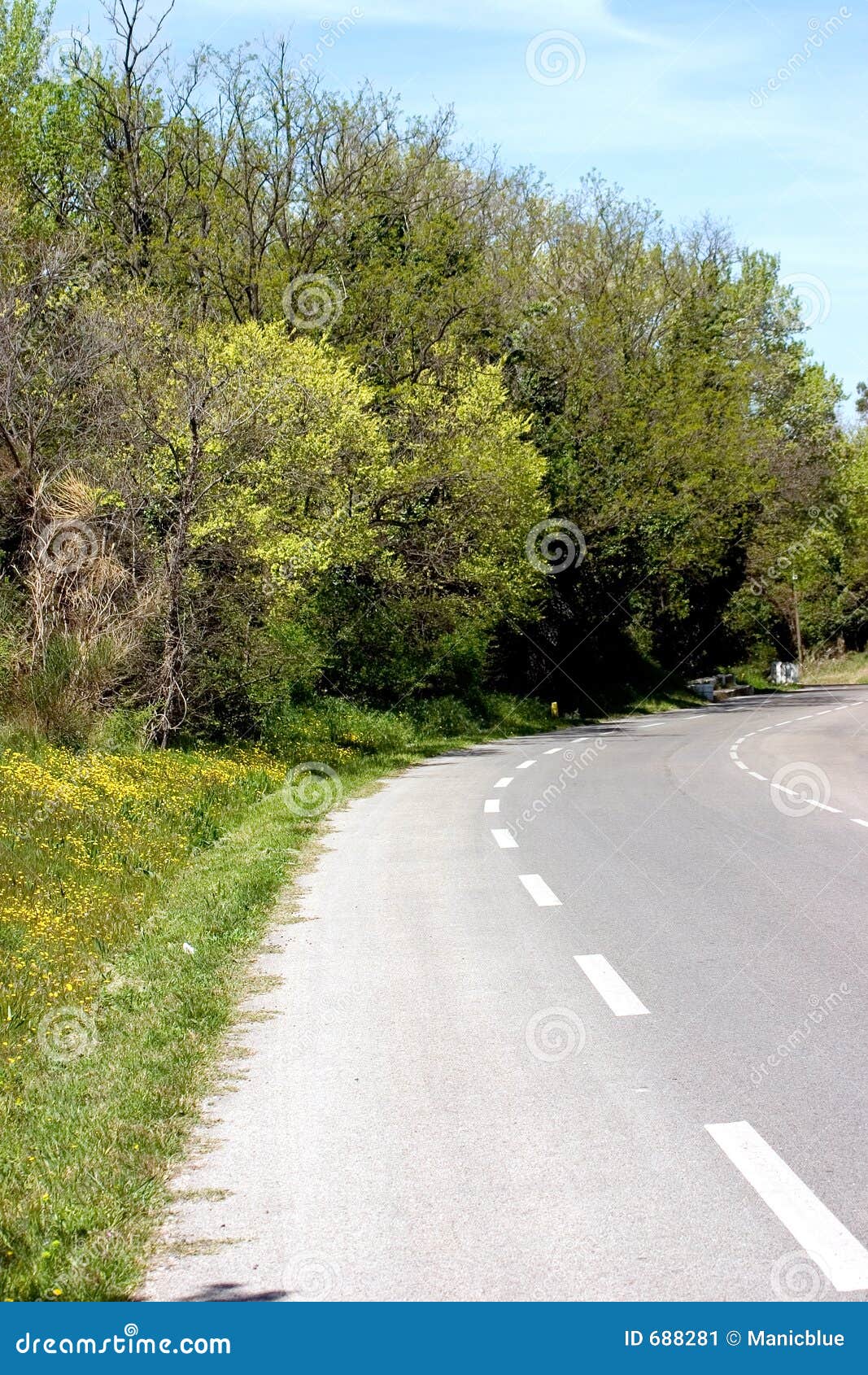 Route de campagne image stock. Image du rural, tranquillité - 688281